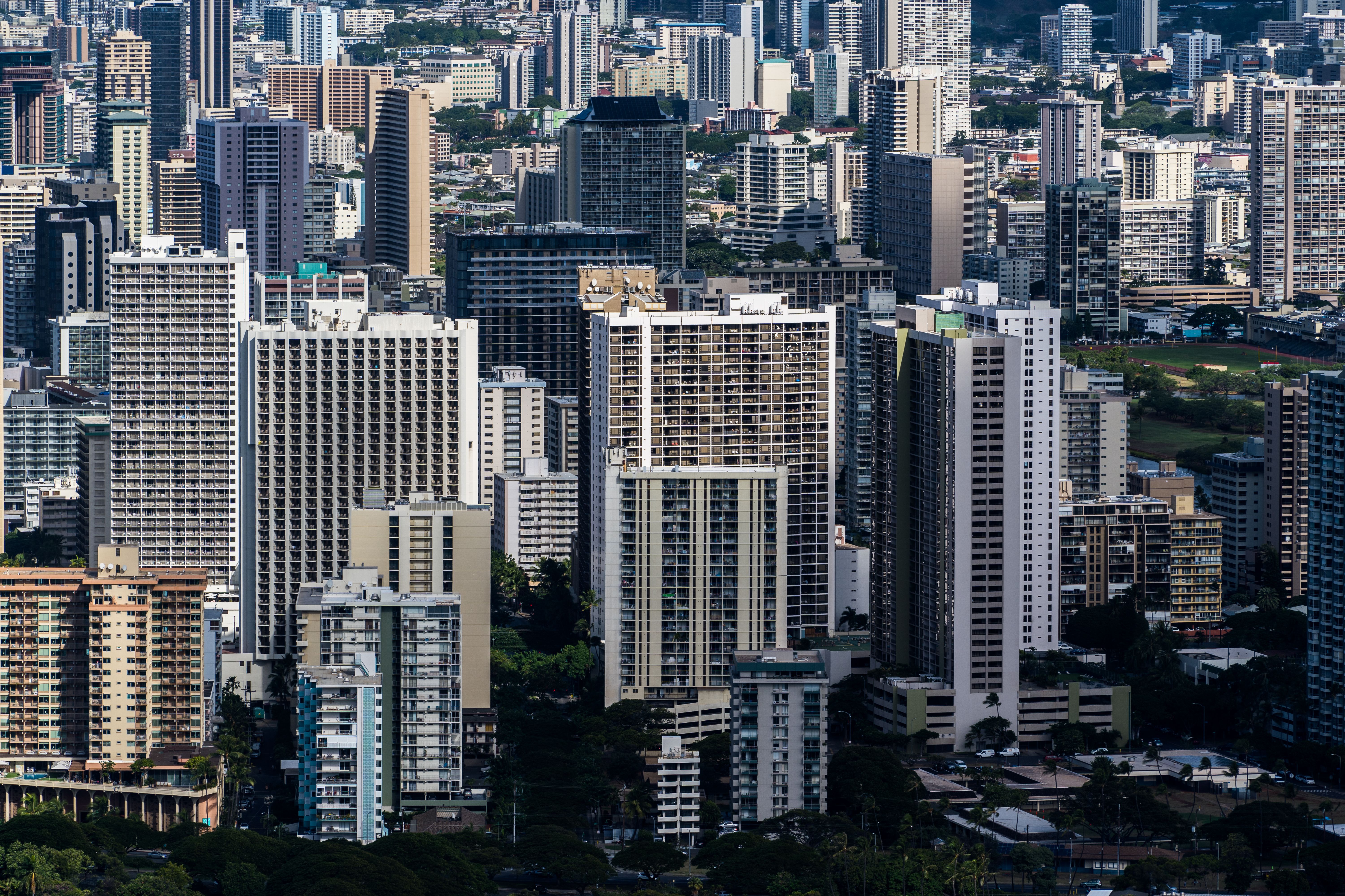 A large city with tall buildings and tall trees · Free Stock Photo