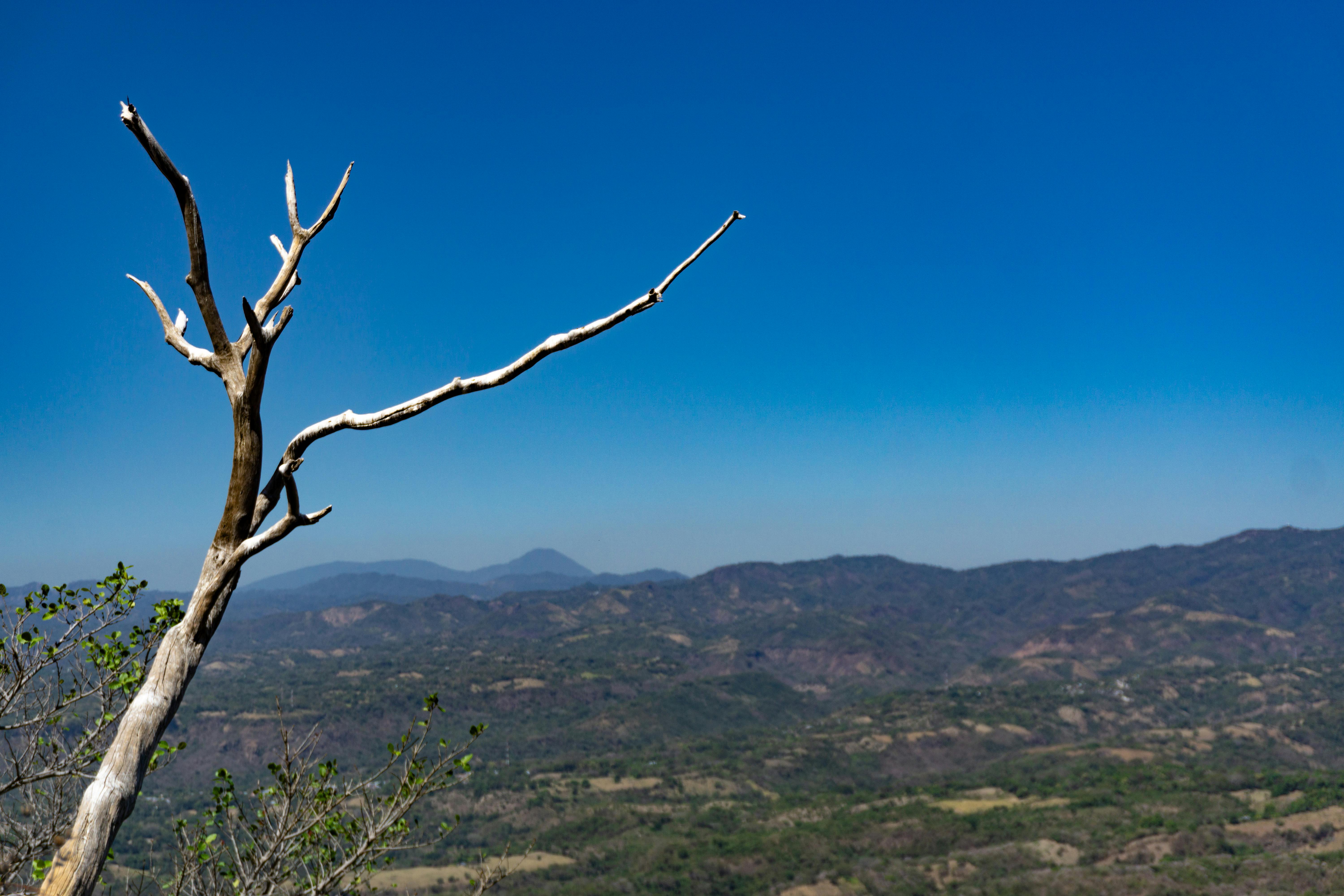 Dimas Henriquez - Photography