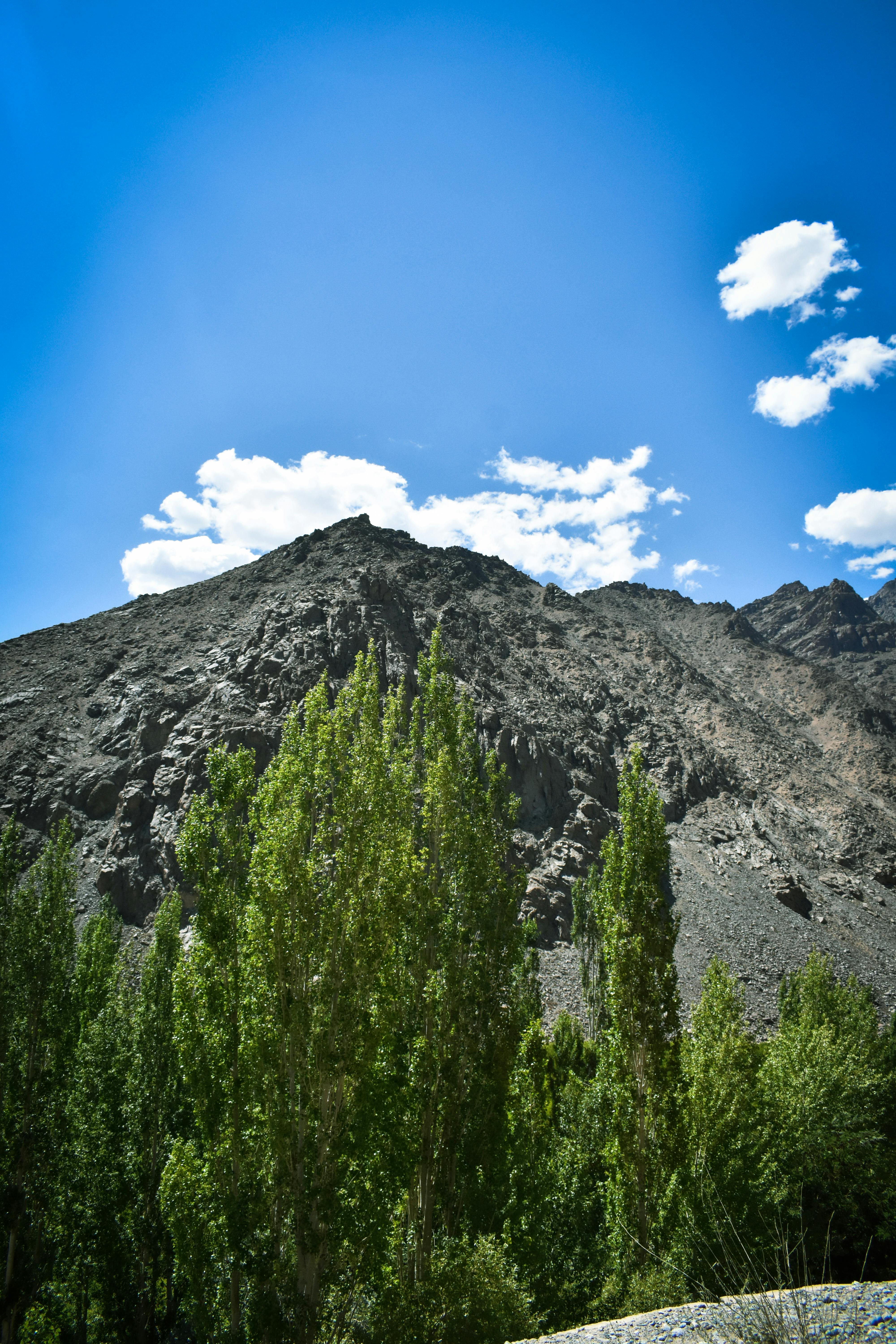 Mountain Range Above Tree Line · Free Stock Photo