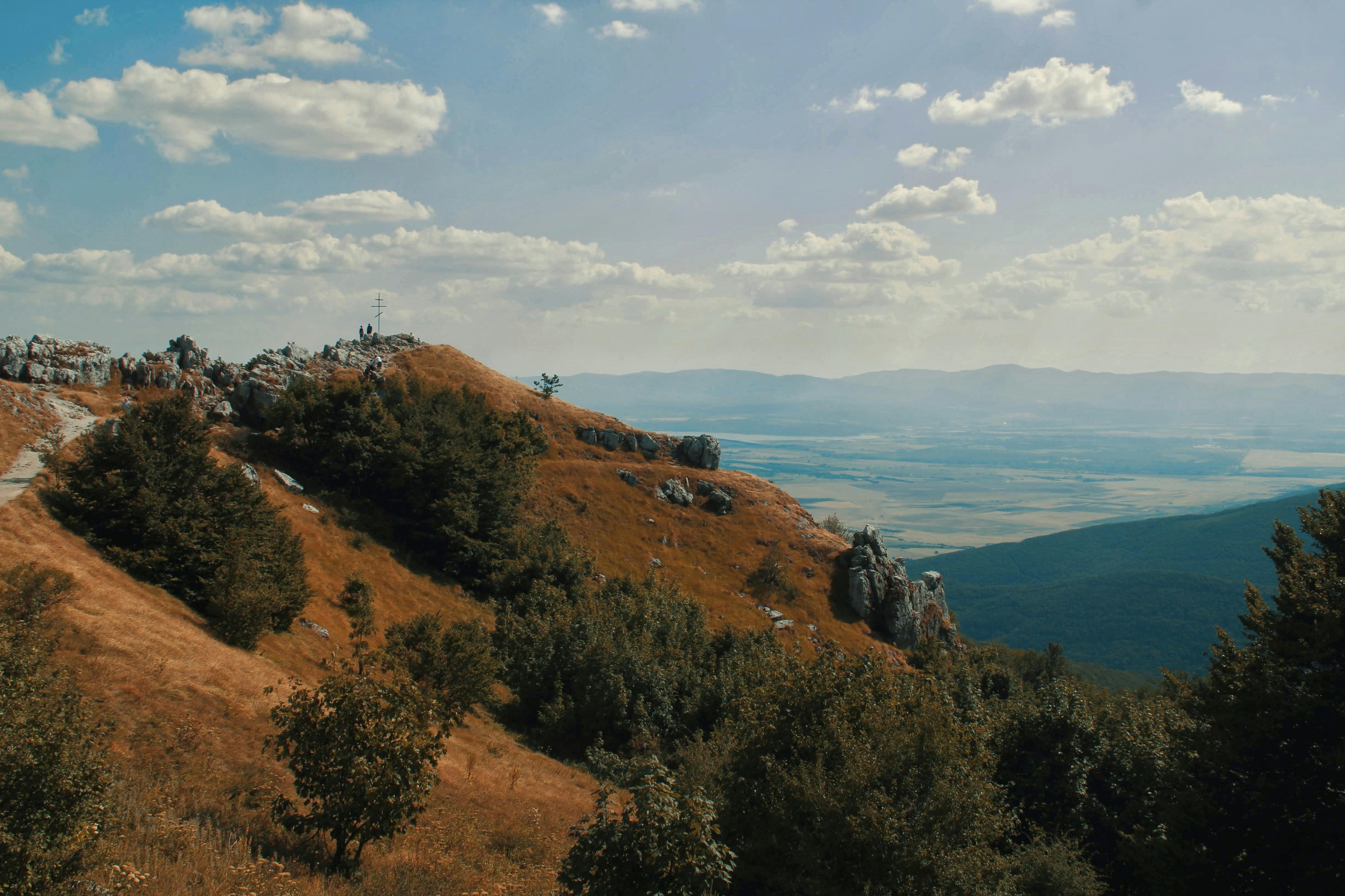 Green Trees Growing on Hill in Mountains Landscape · Free Stock Photo