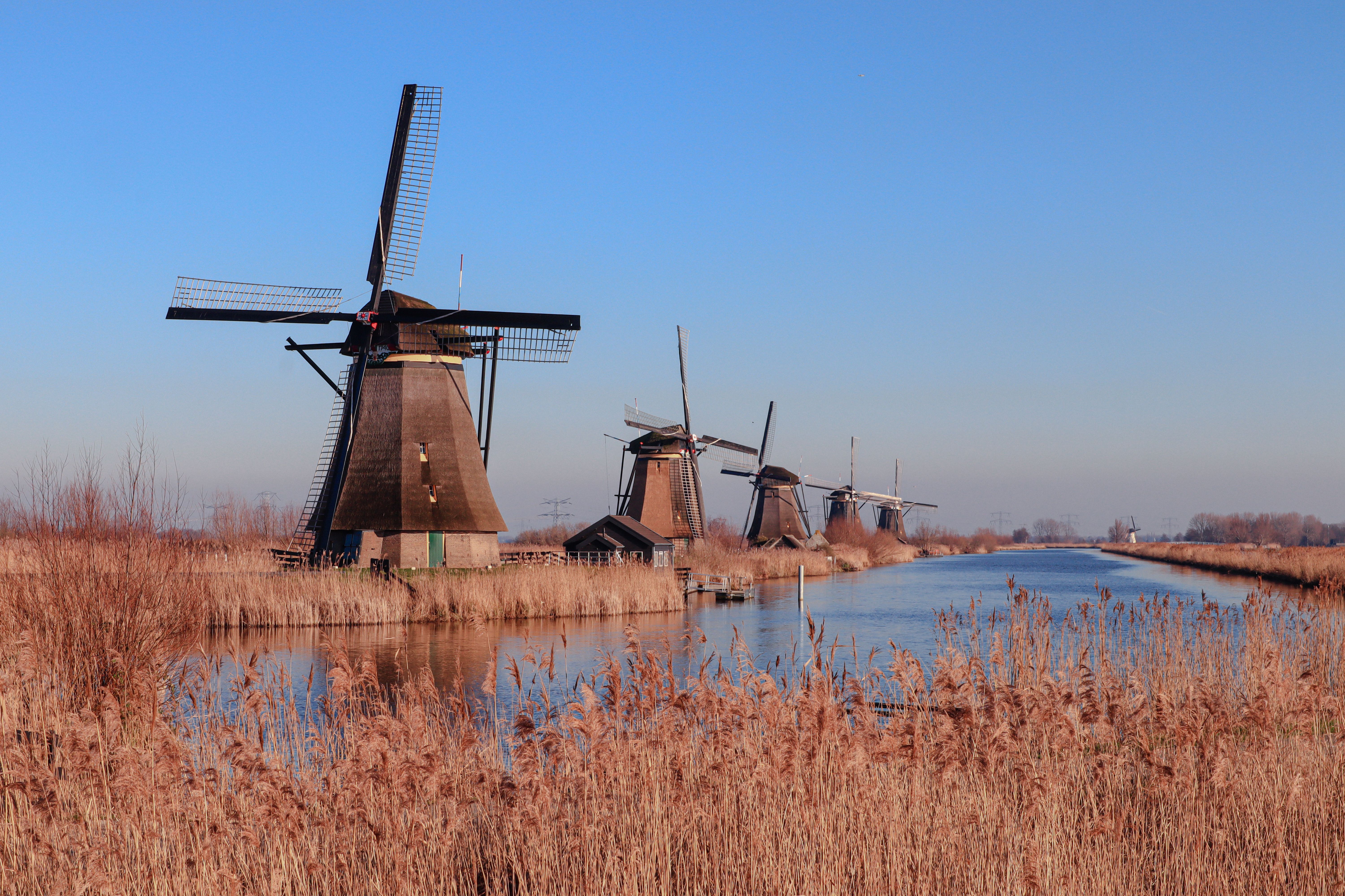 Row of Old Wooden Windmills · Free Stock Photo