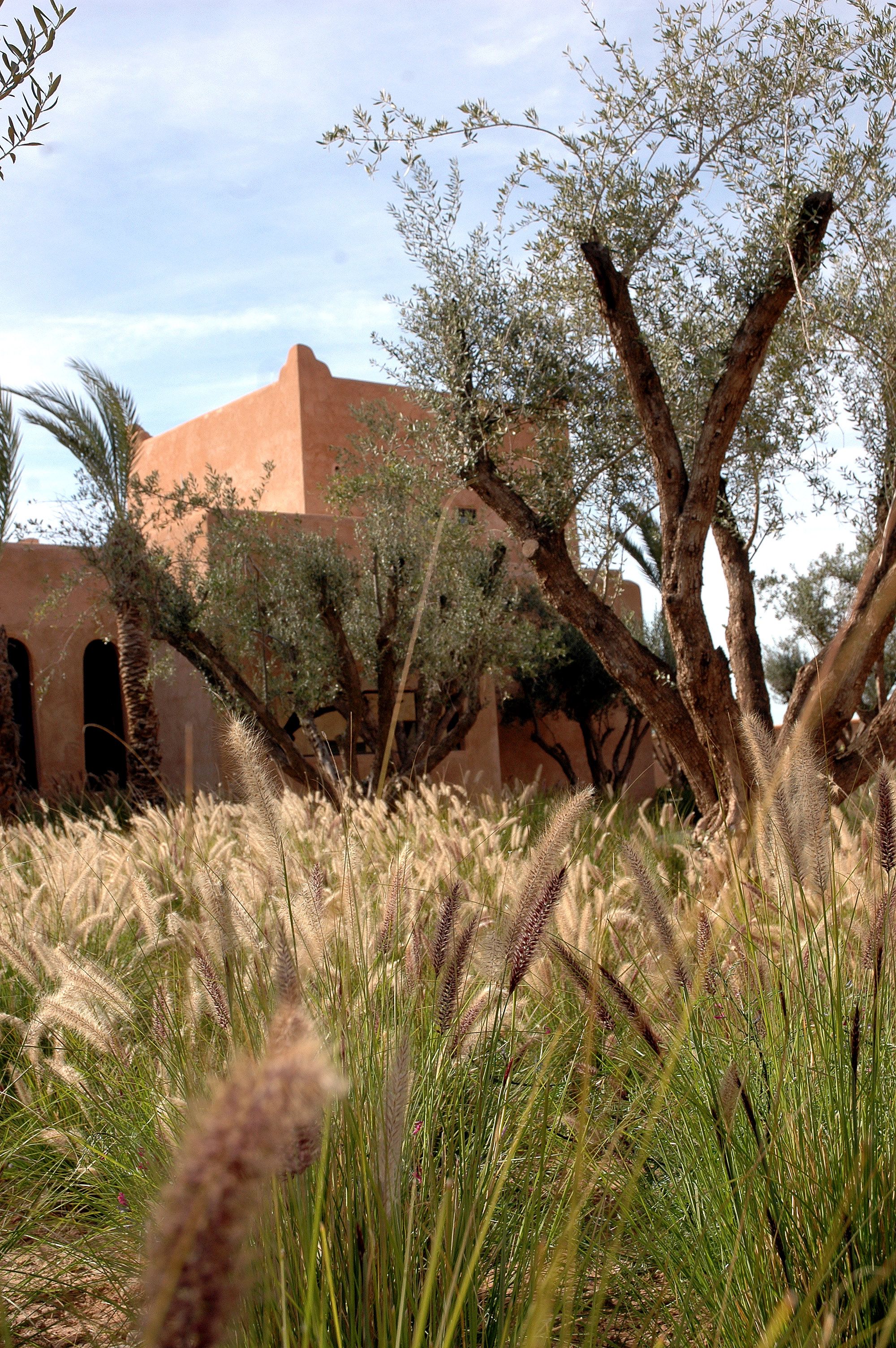 A Grass Field with a Moroccan Building in the Background · Free Stock Photo
