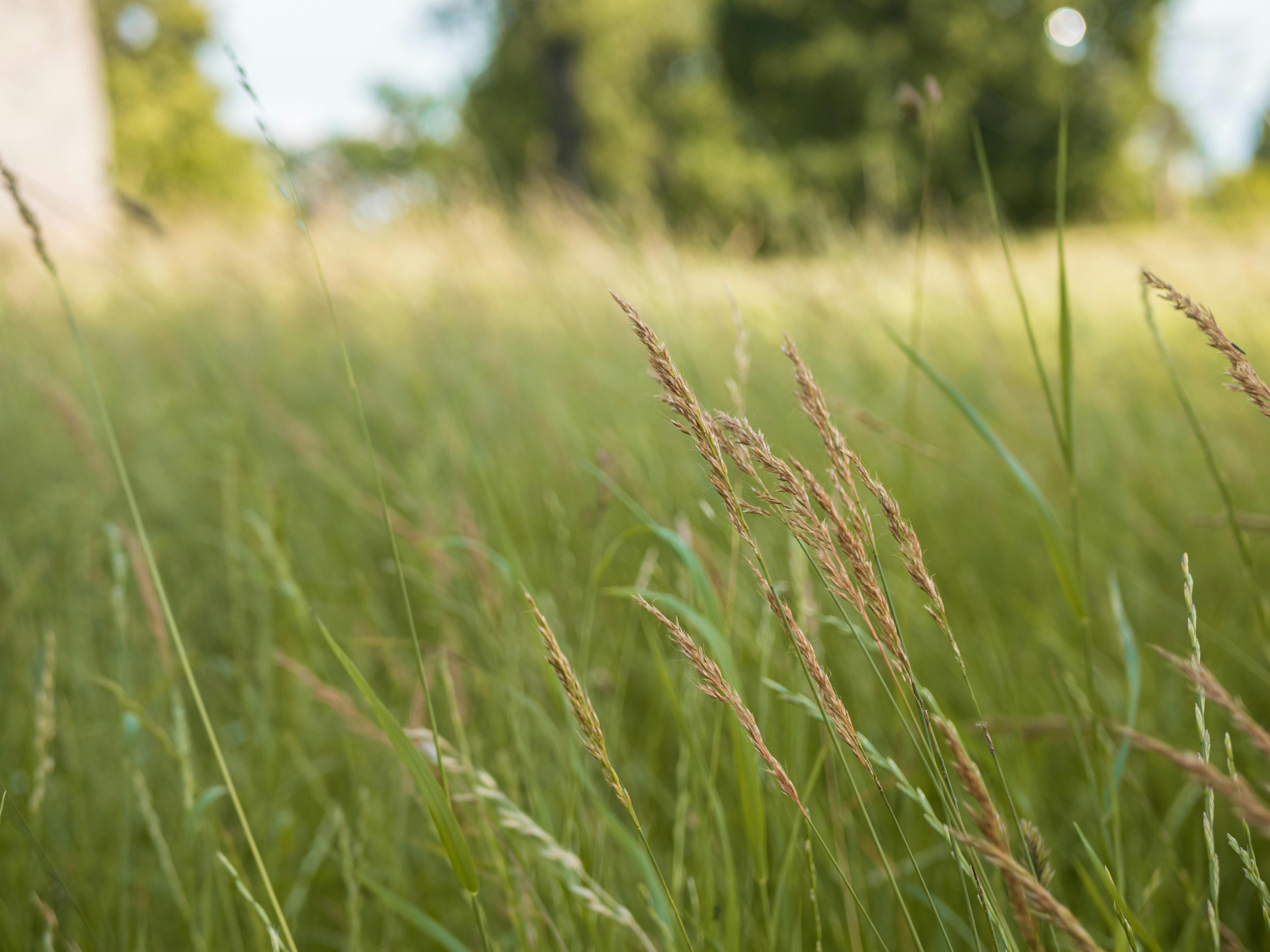 Roman Koval - 摄影