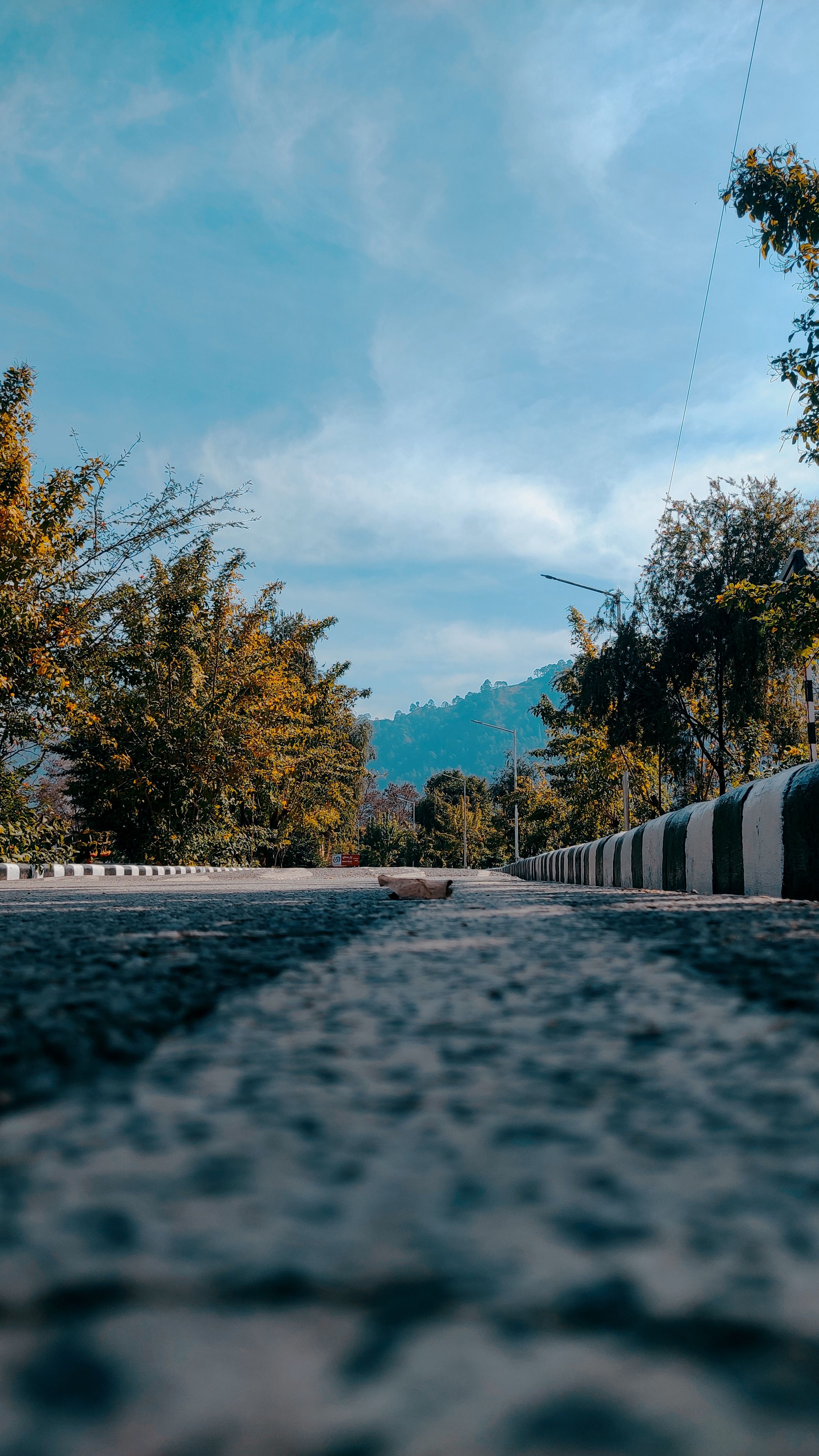 DEEPAK TRIVEDI - Fotografía