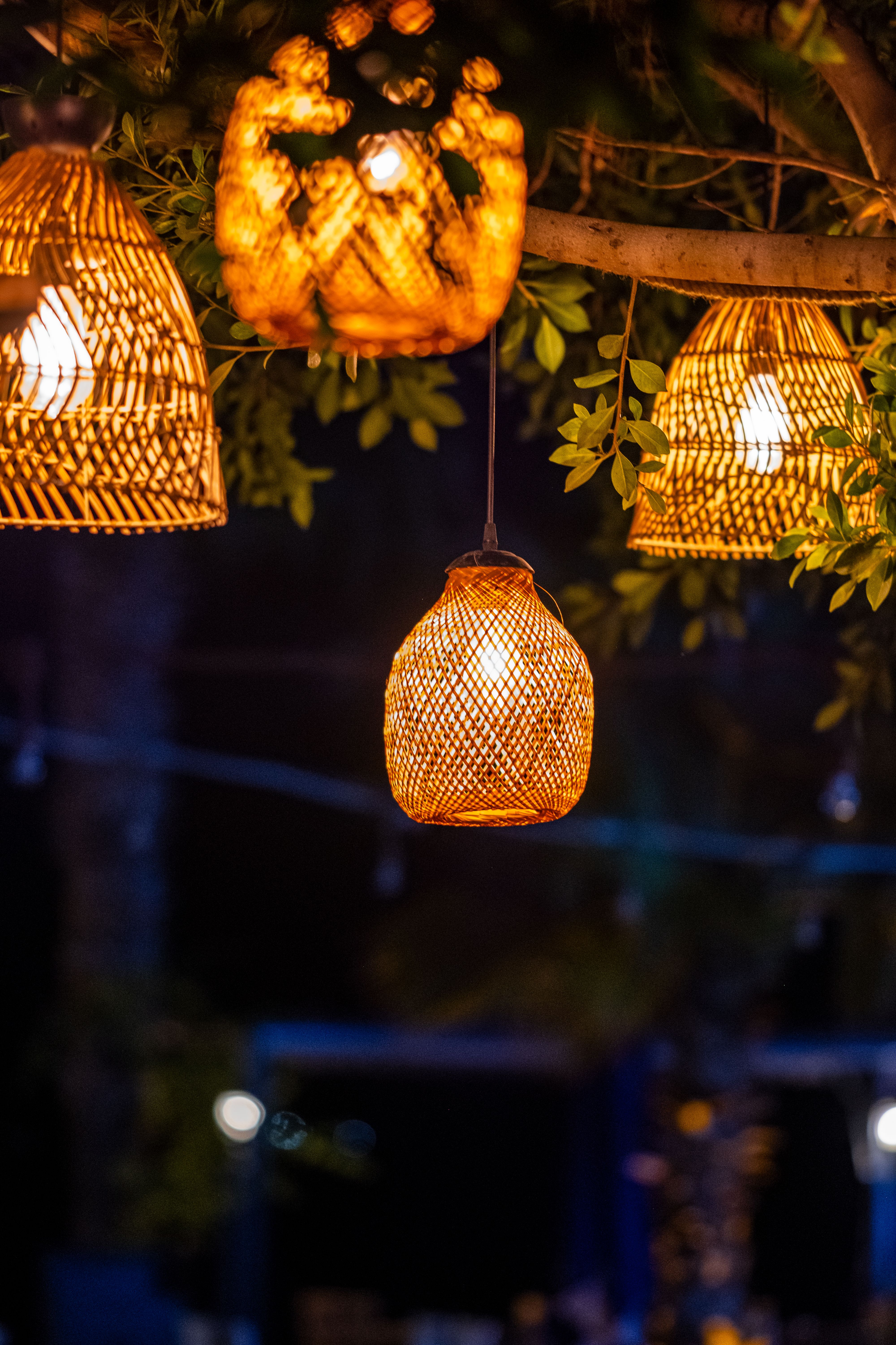 Retro Wooden Lamps Hanging on Tree at Night · Free Stock Photo