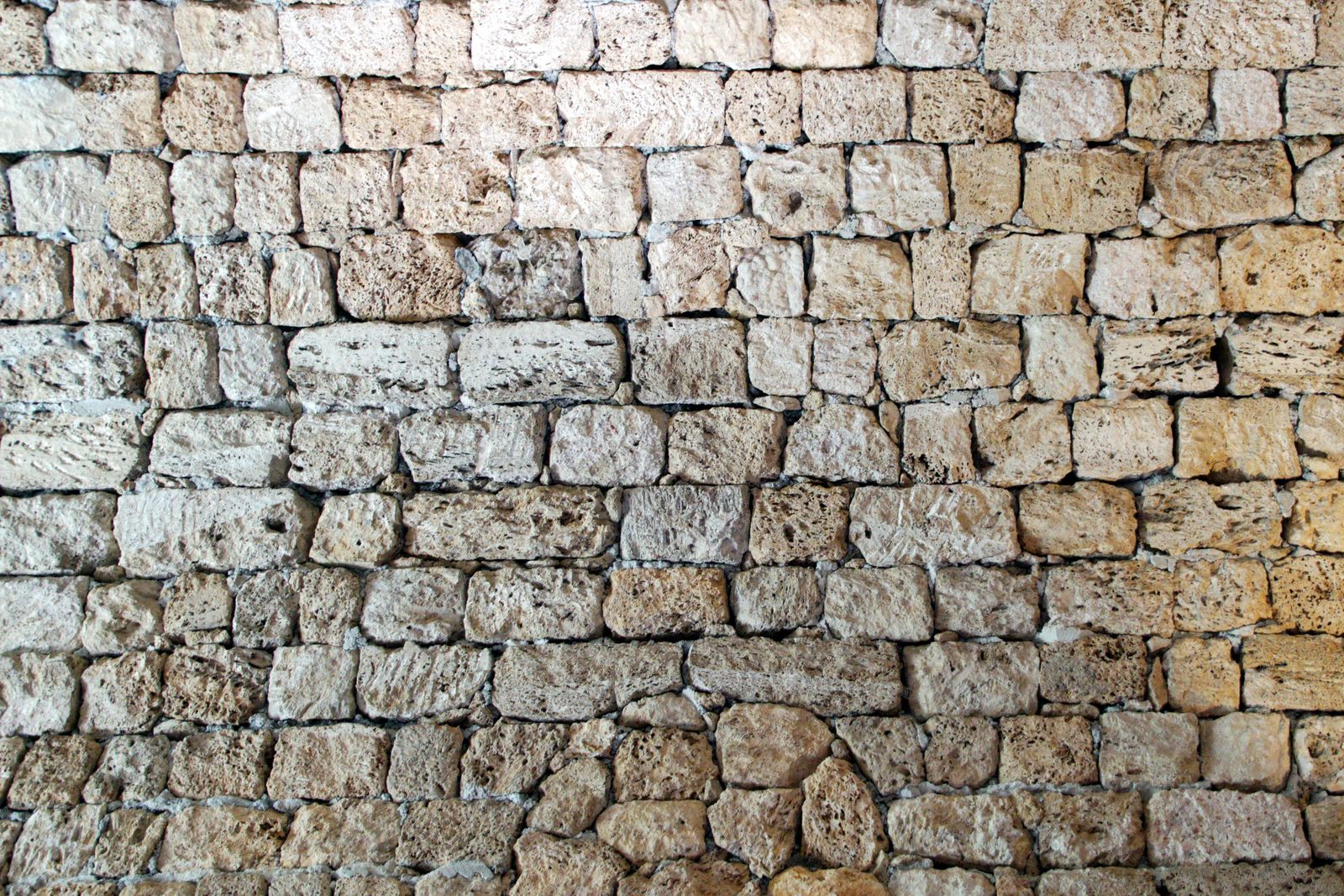 Jatav Wall Photos, Download The BEST Free Jatav Wall Stock Photos & HD ...