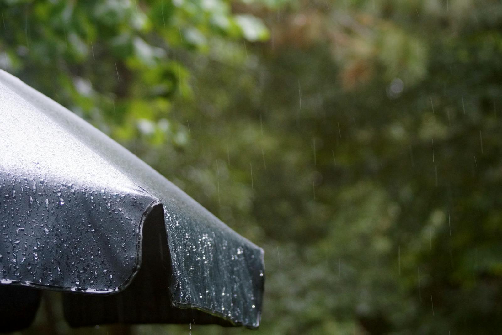 Rain Restaurant Photos, Download The BEST Free Rain Restaurant Stock ...