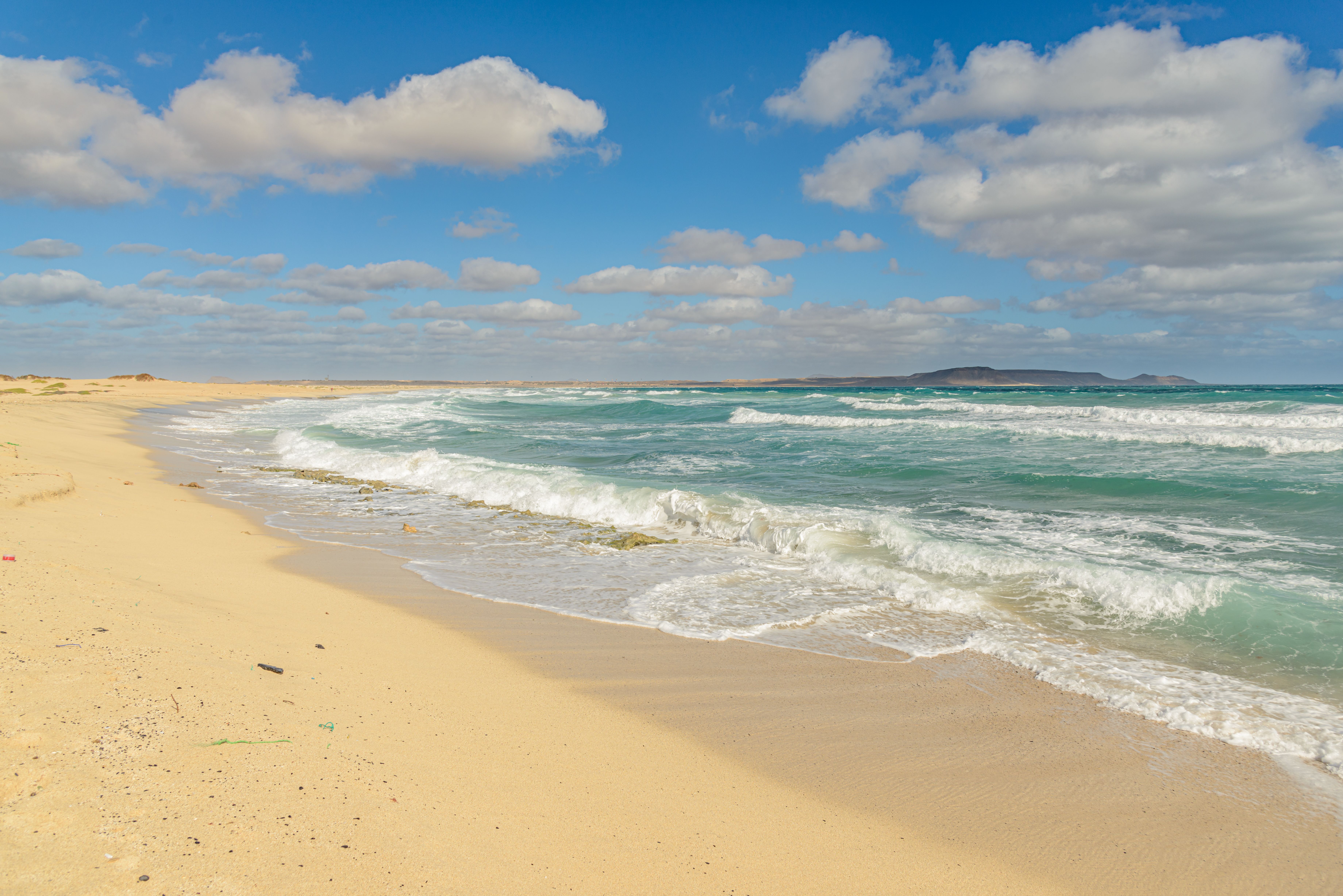 Long Sandy Beach · Free Stock Photo
