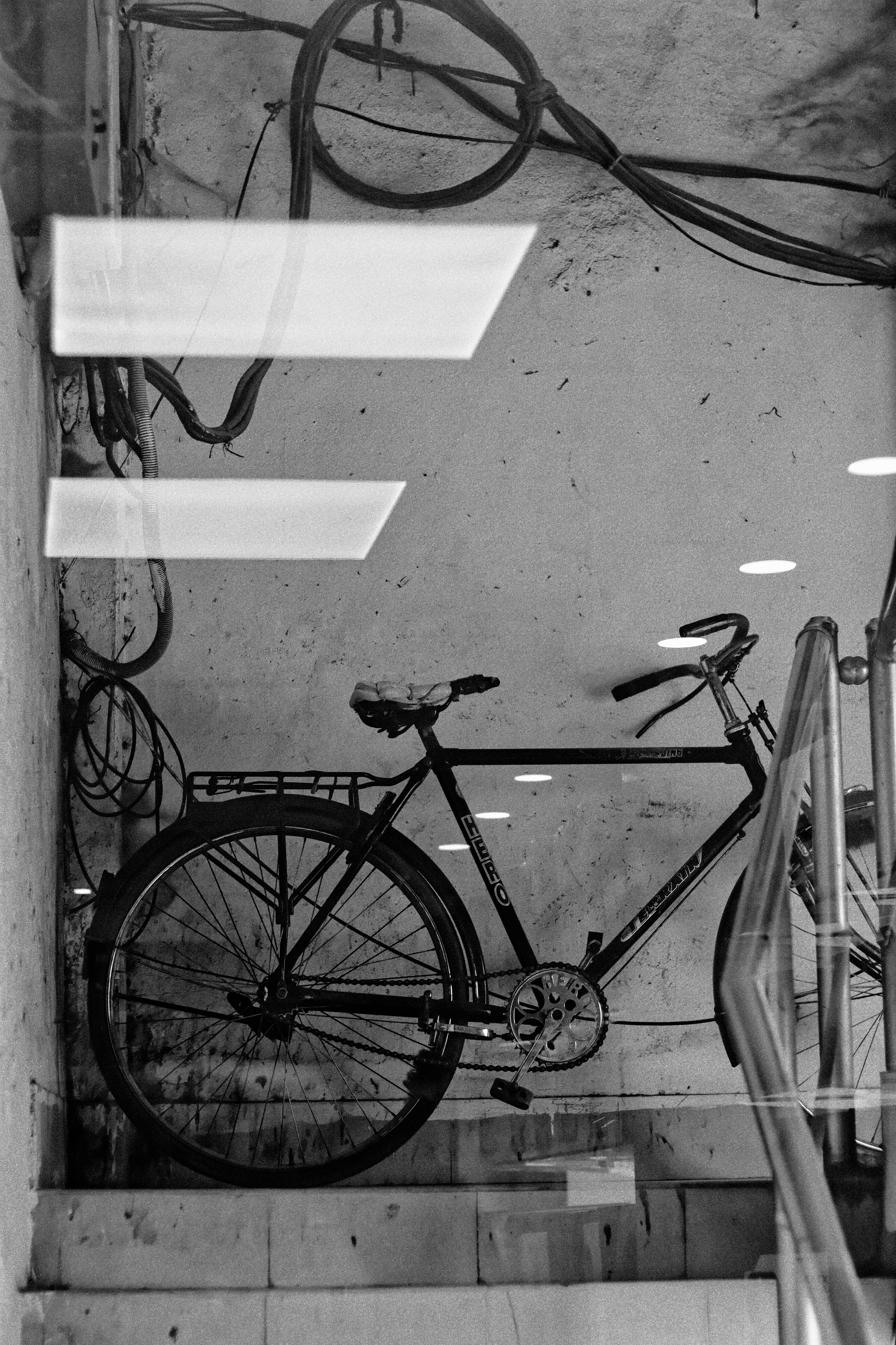Back View of a Bicycle · Free Stock Photo