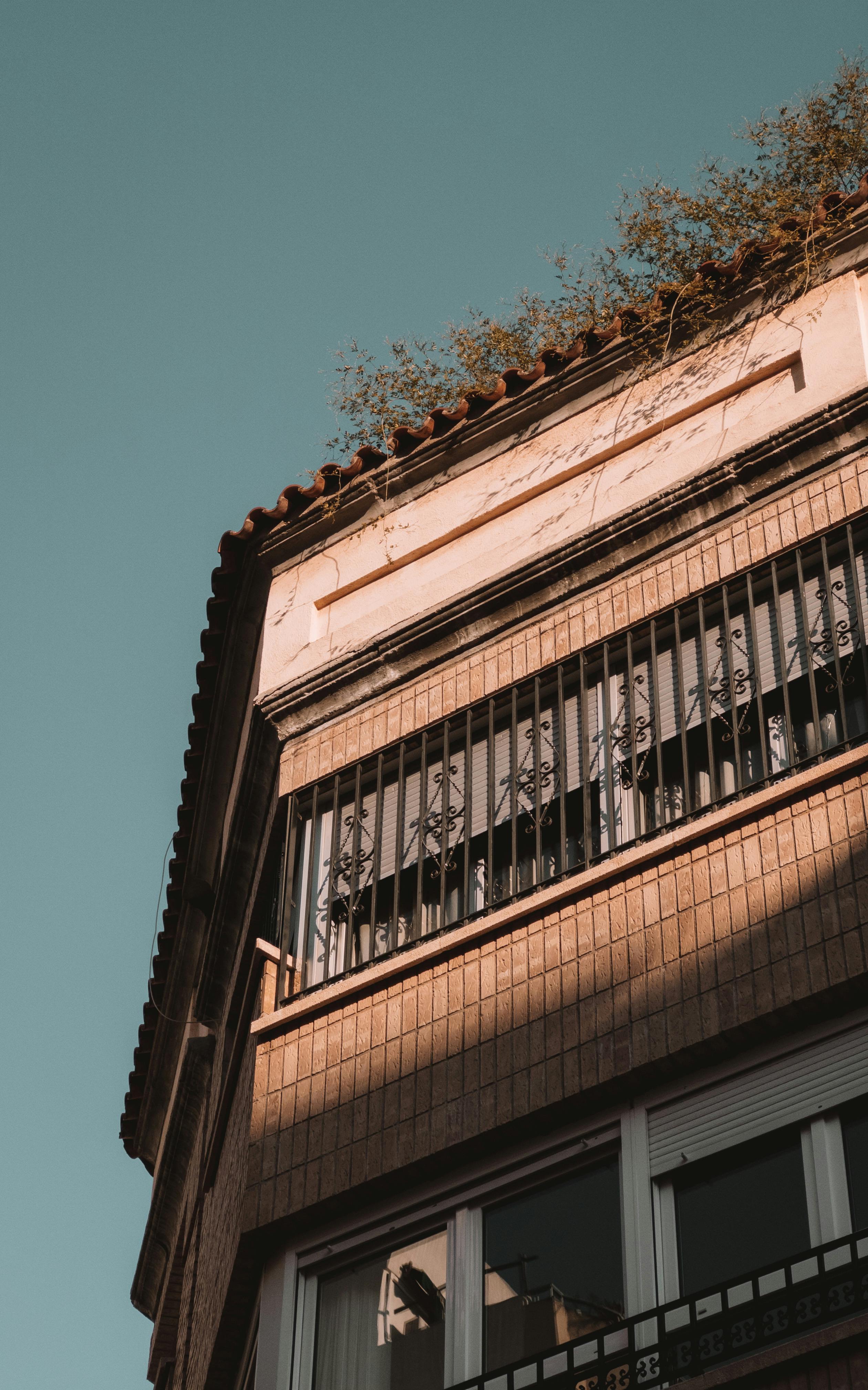 Plants Rooftop Photos, Download The BEST Free Plants Rooftop Stock ...