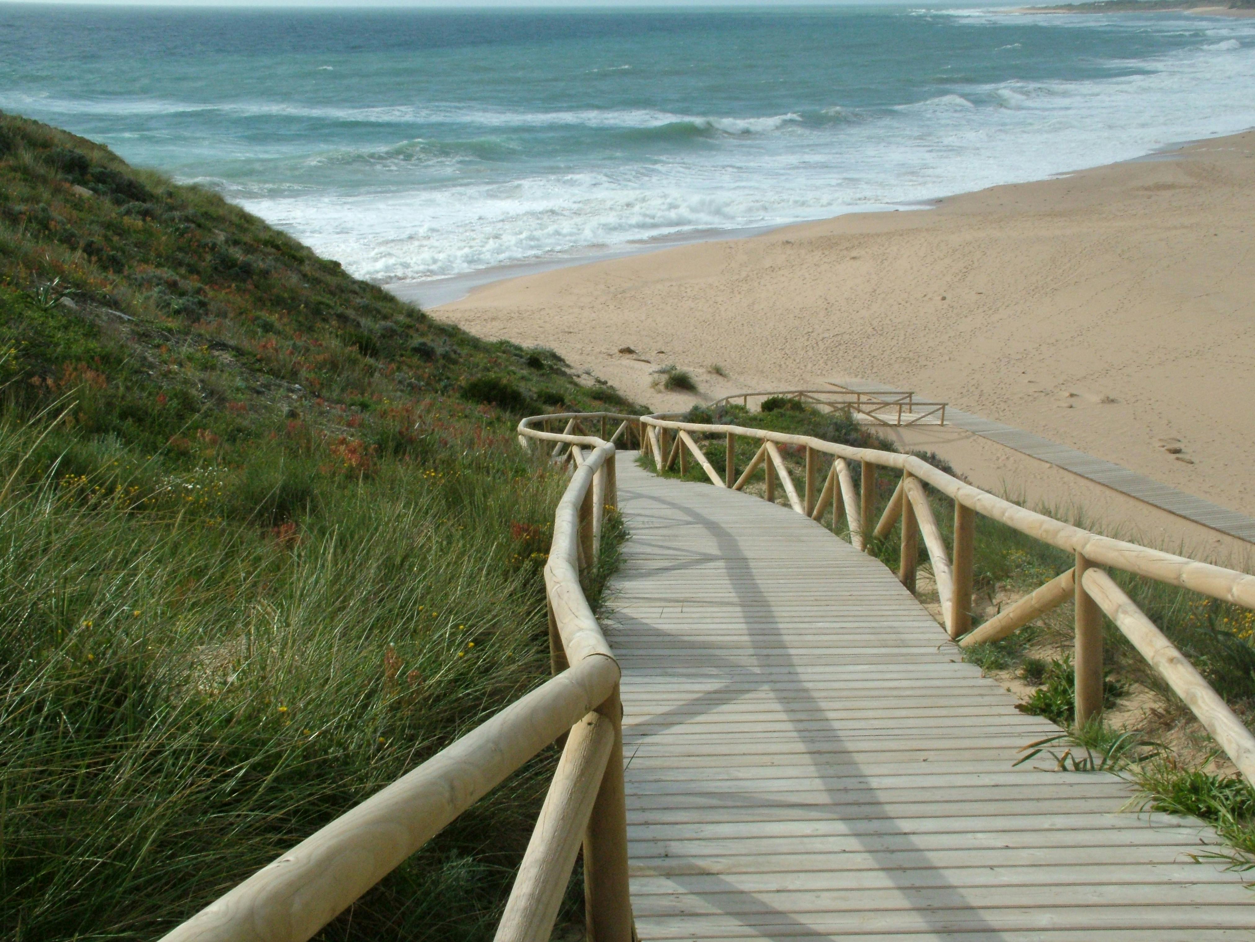 Seashore Library Photos, Download The BEST Free Seashore Library Stock ...