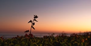 Widescreen Wallpaper Photos, Download The BEST Free Widescreen ...