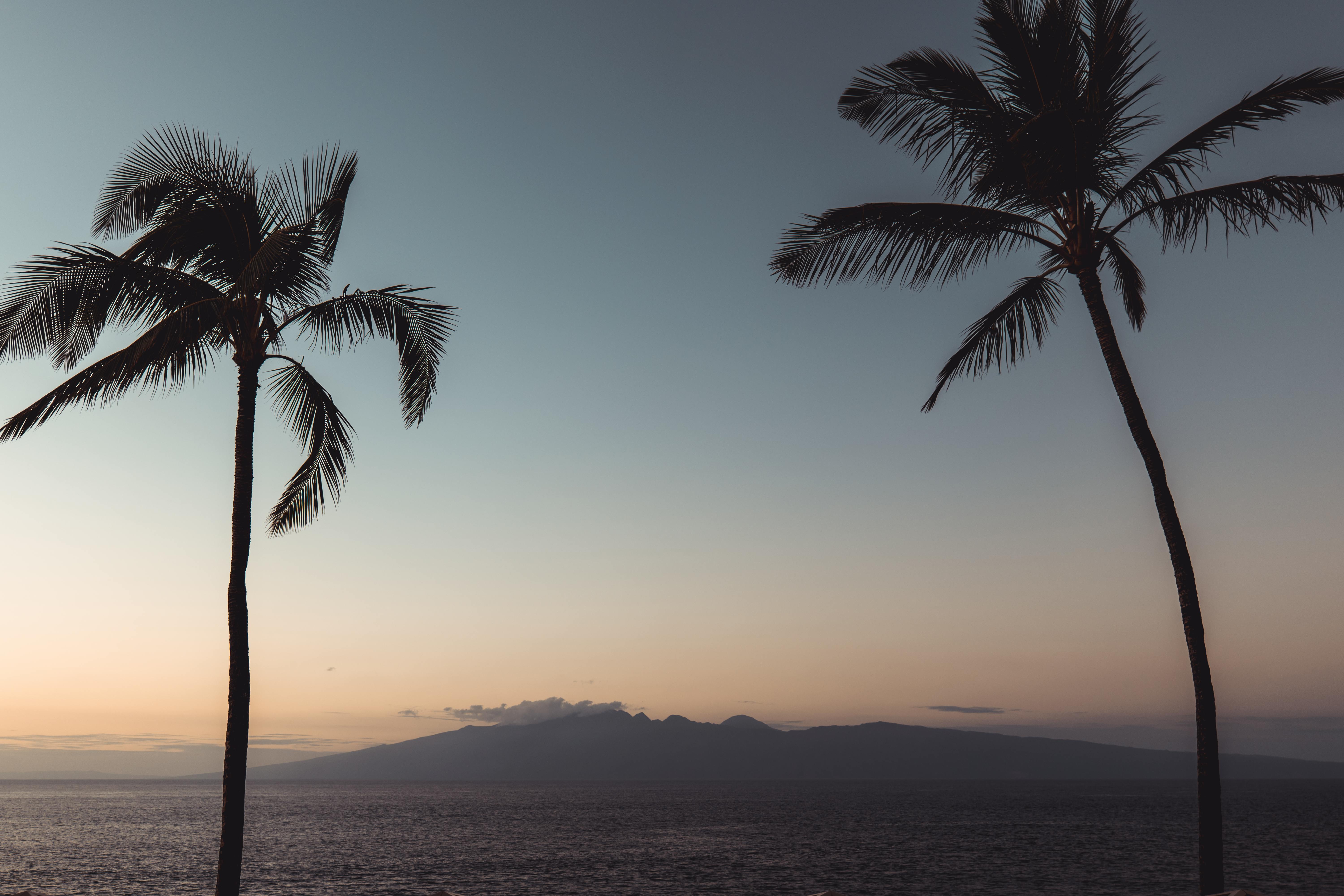 Placement Photos, Download The BEST Free Placement Stock Photos & HD Images