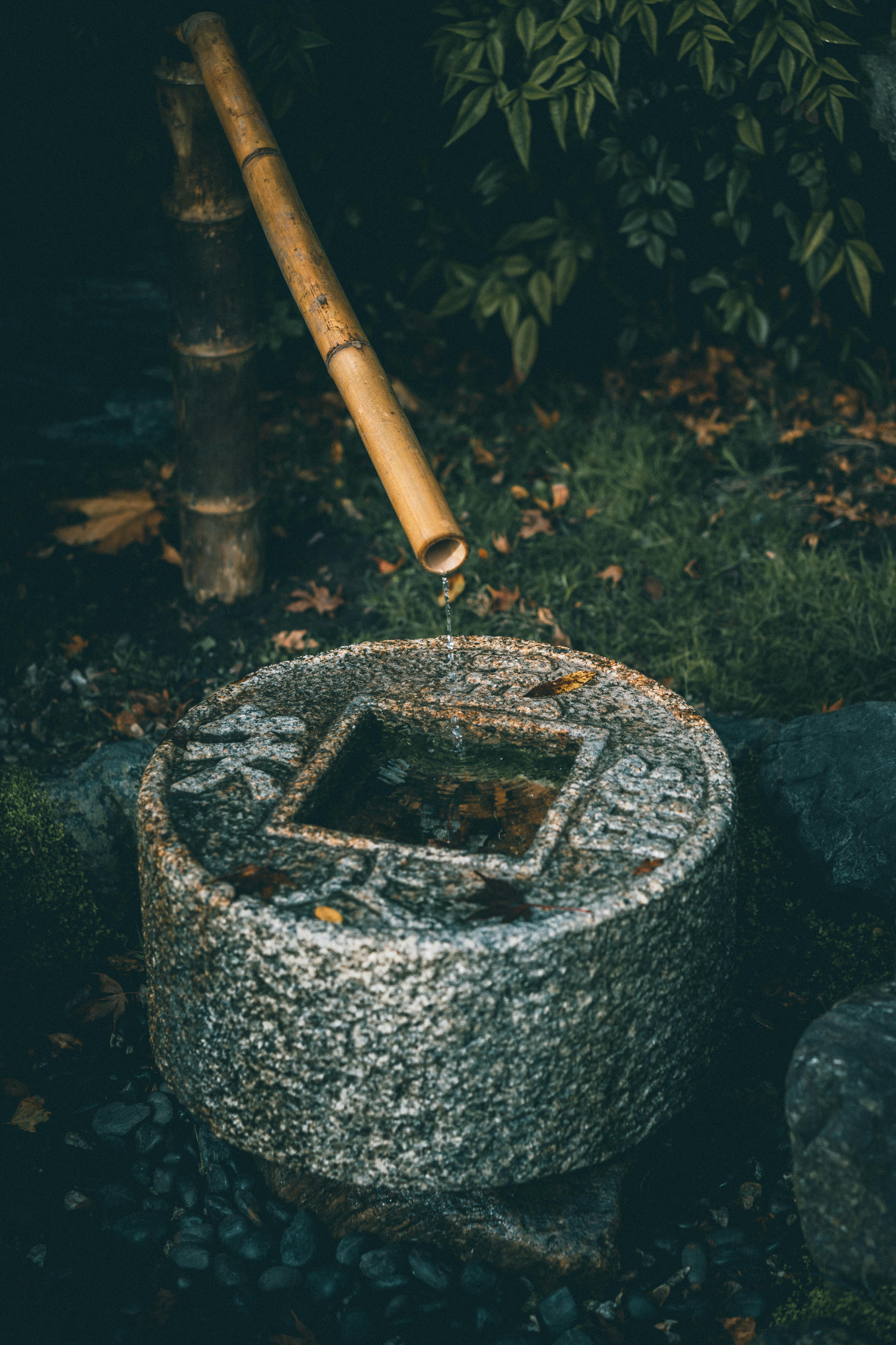 Bamboo Pipe and a Stone Water Basin in Kyoto, Japan · Free Stock Photo