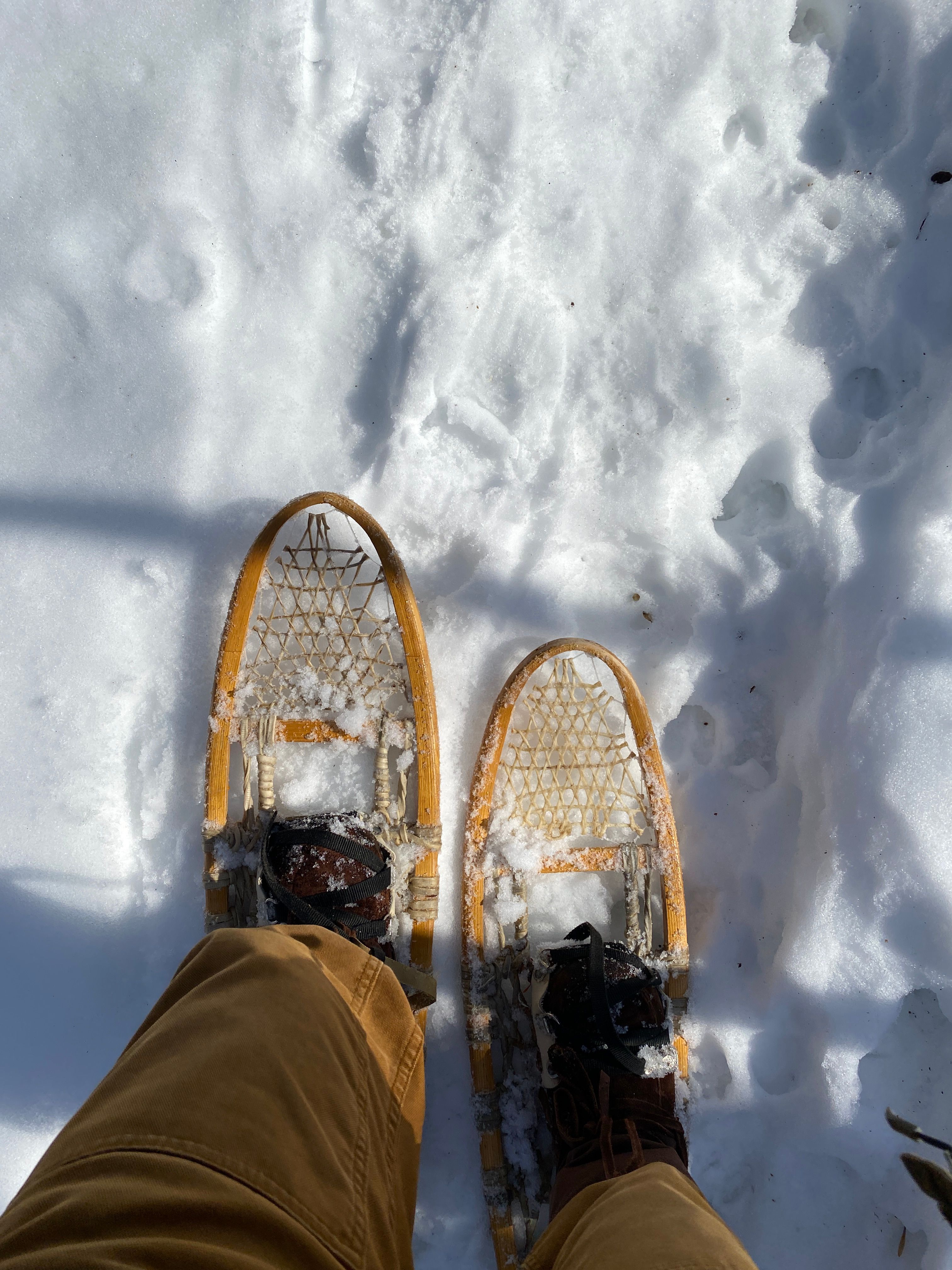 Winter Snowshoes Photos, Download The BEST Free Winter Snowshoes Stock ...