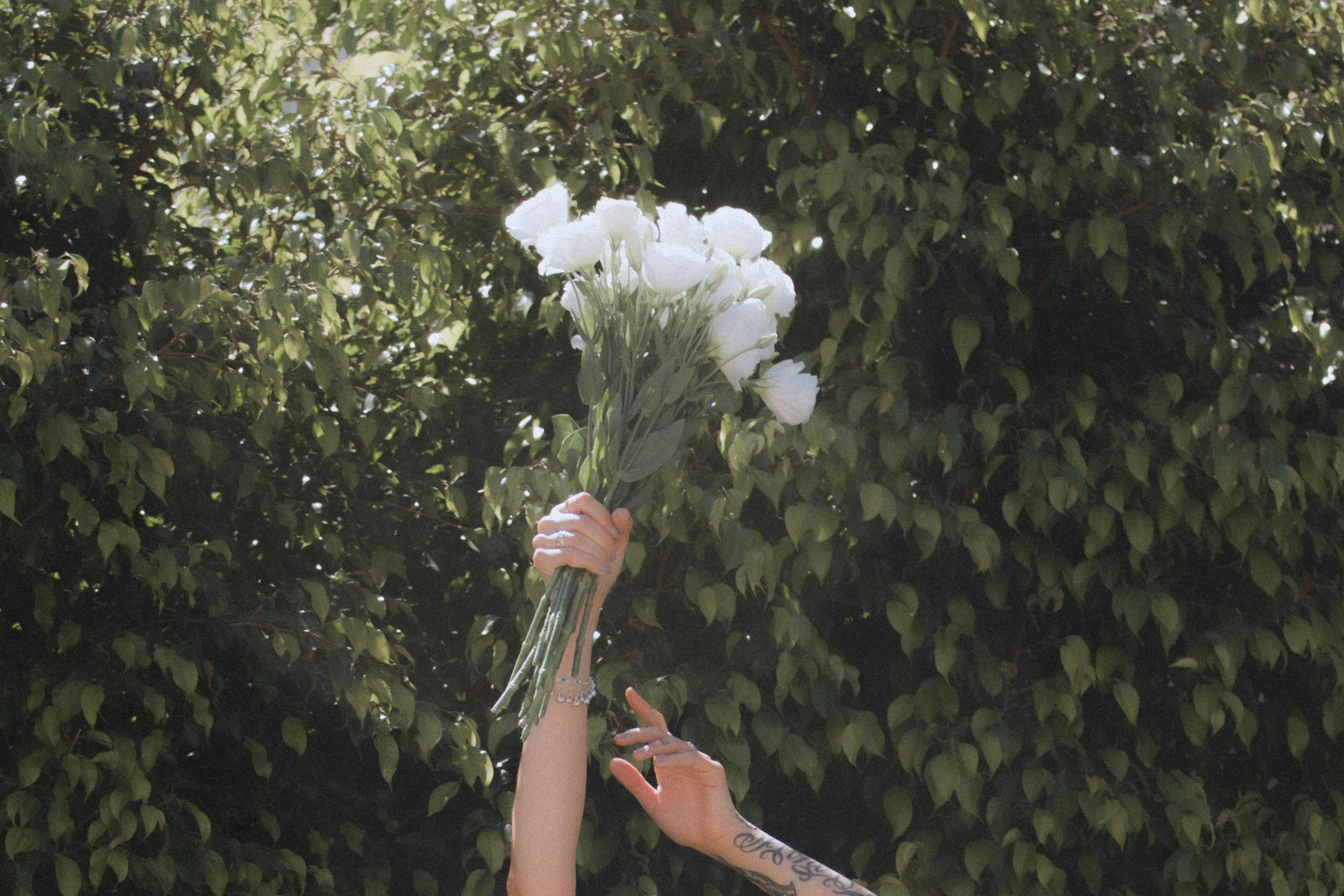 Ppl Holding Hands Photos, Download The BEST Free Ppl Holding Hands ...