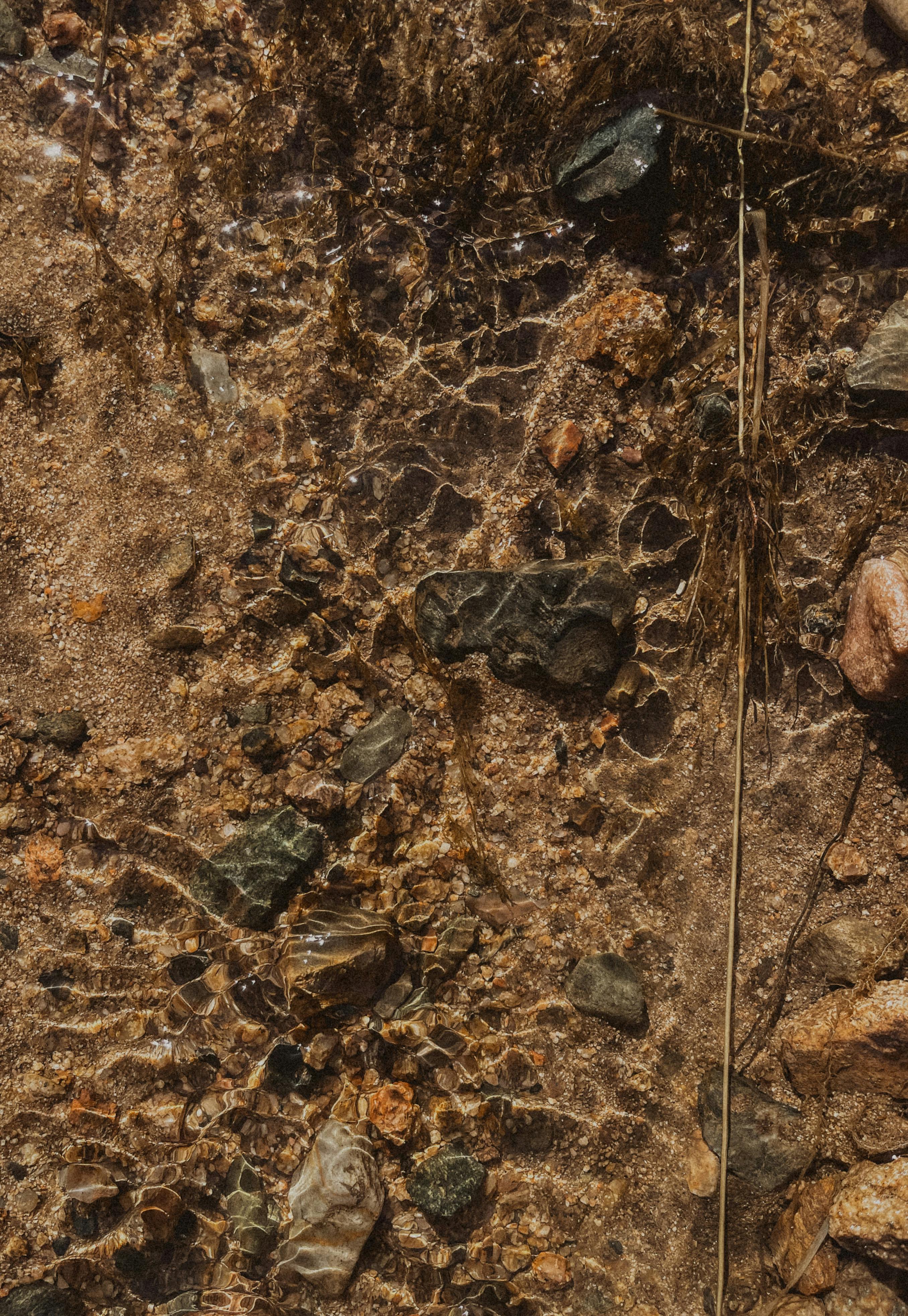 River Floor Photos, Download The BEST Free River Floor Stock Photos ...