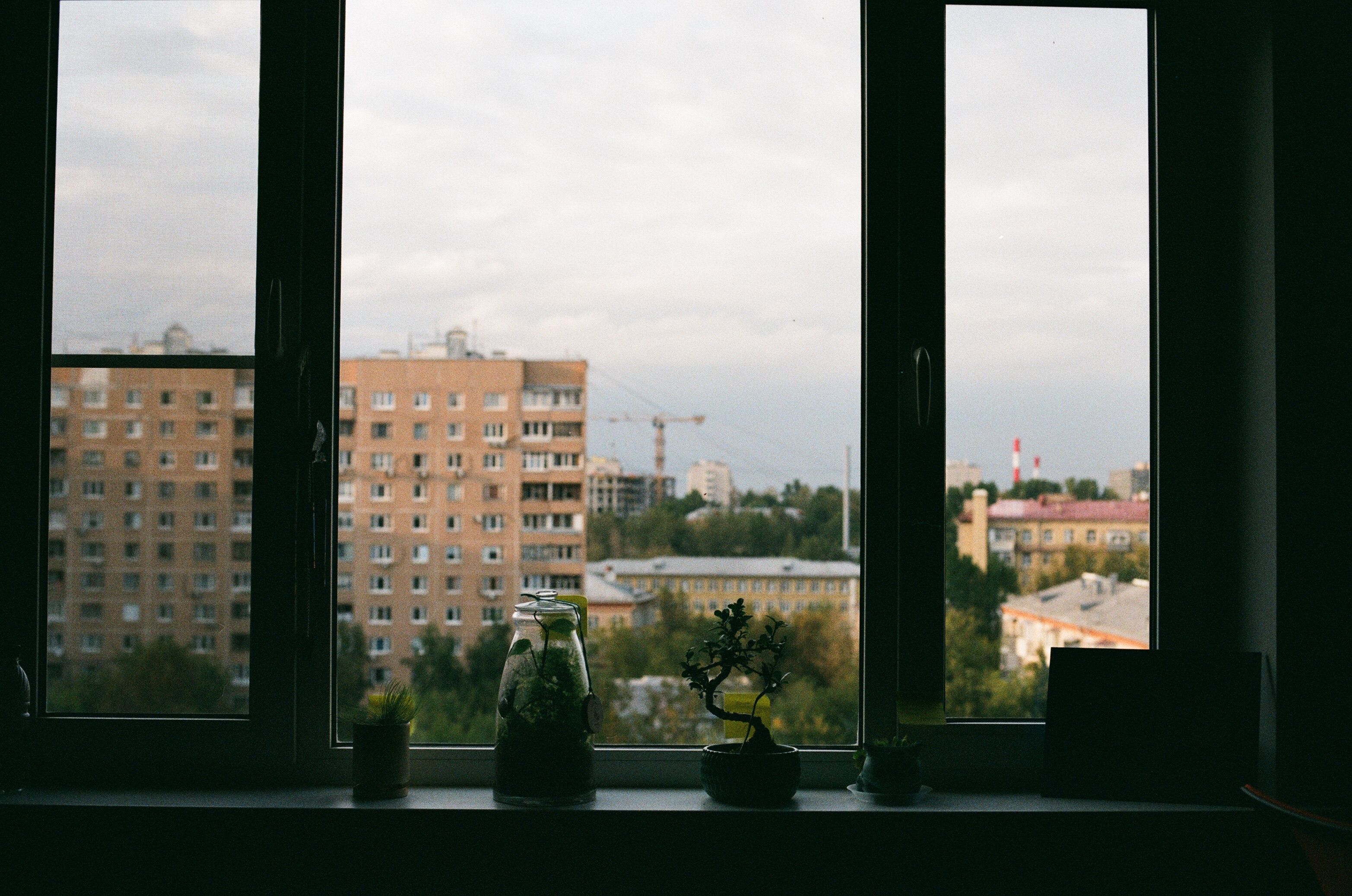 Plants Standing on Window Sill · Free Stock Photo