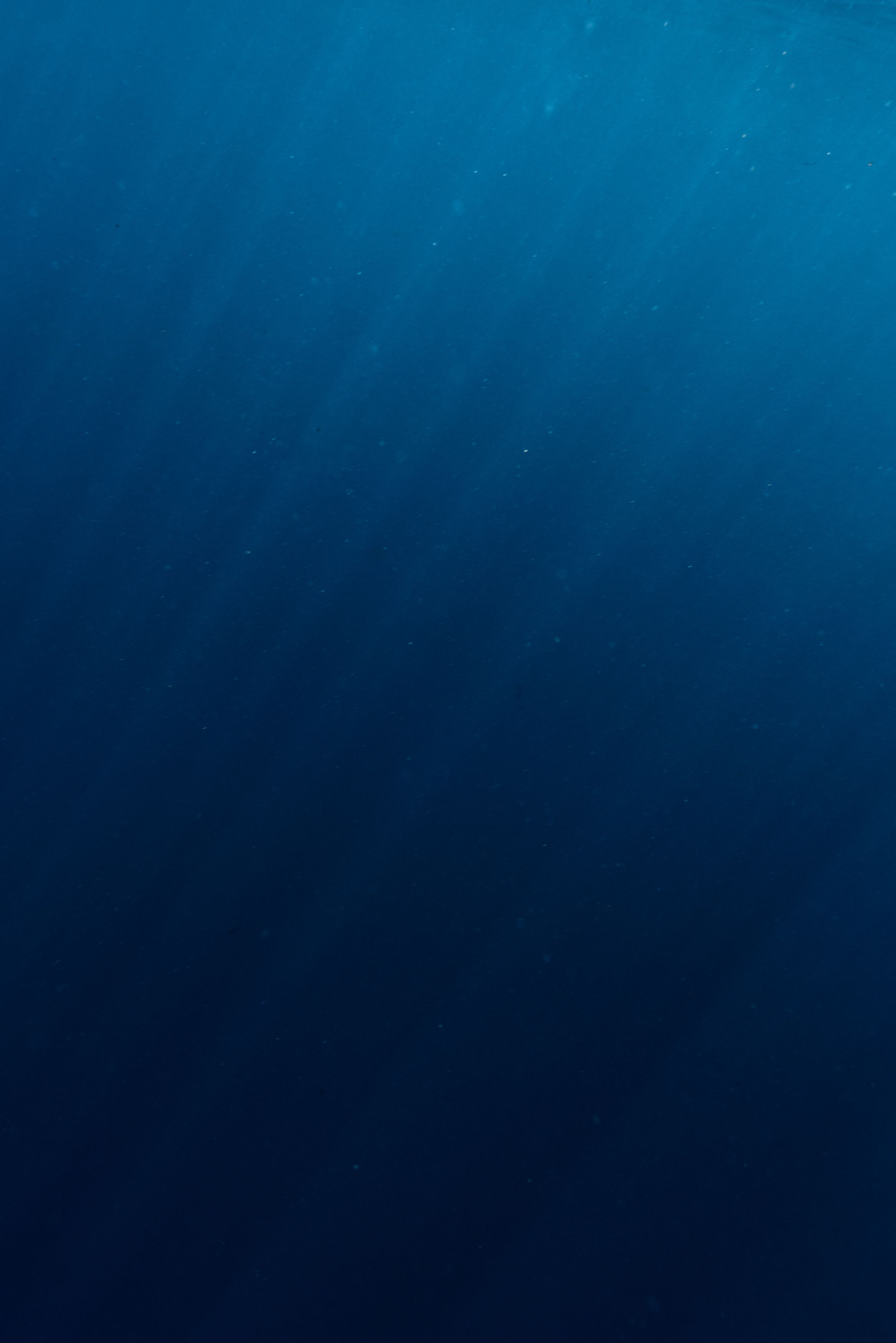 Film Pc Wallpaper Photos, Download The BEST Free Film Pc Wallpaper ...