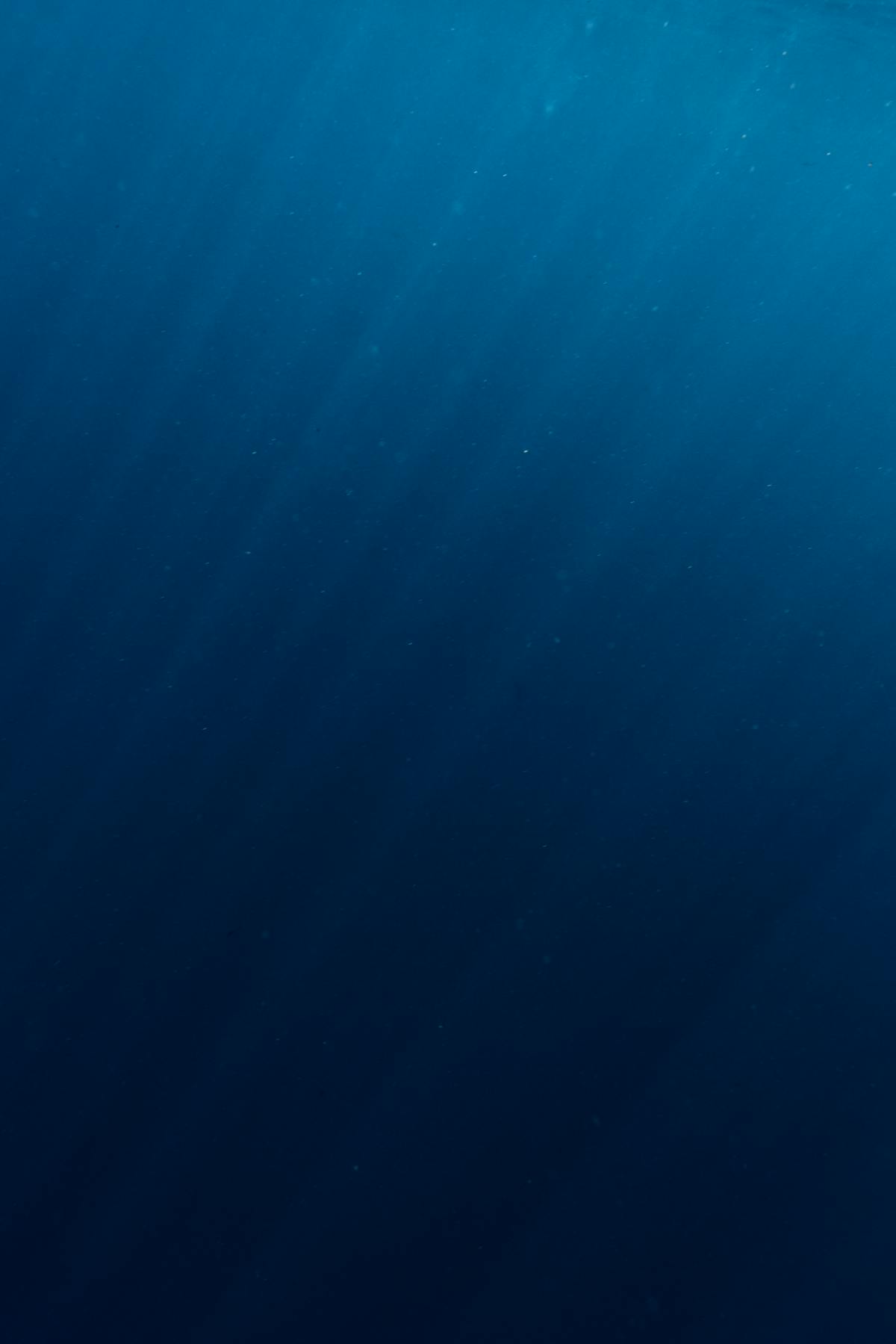 Dark Blue Background Gradient Photos, Download The BEST Free Dark Blue ...