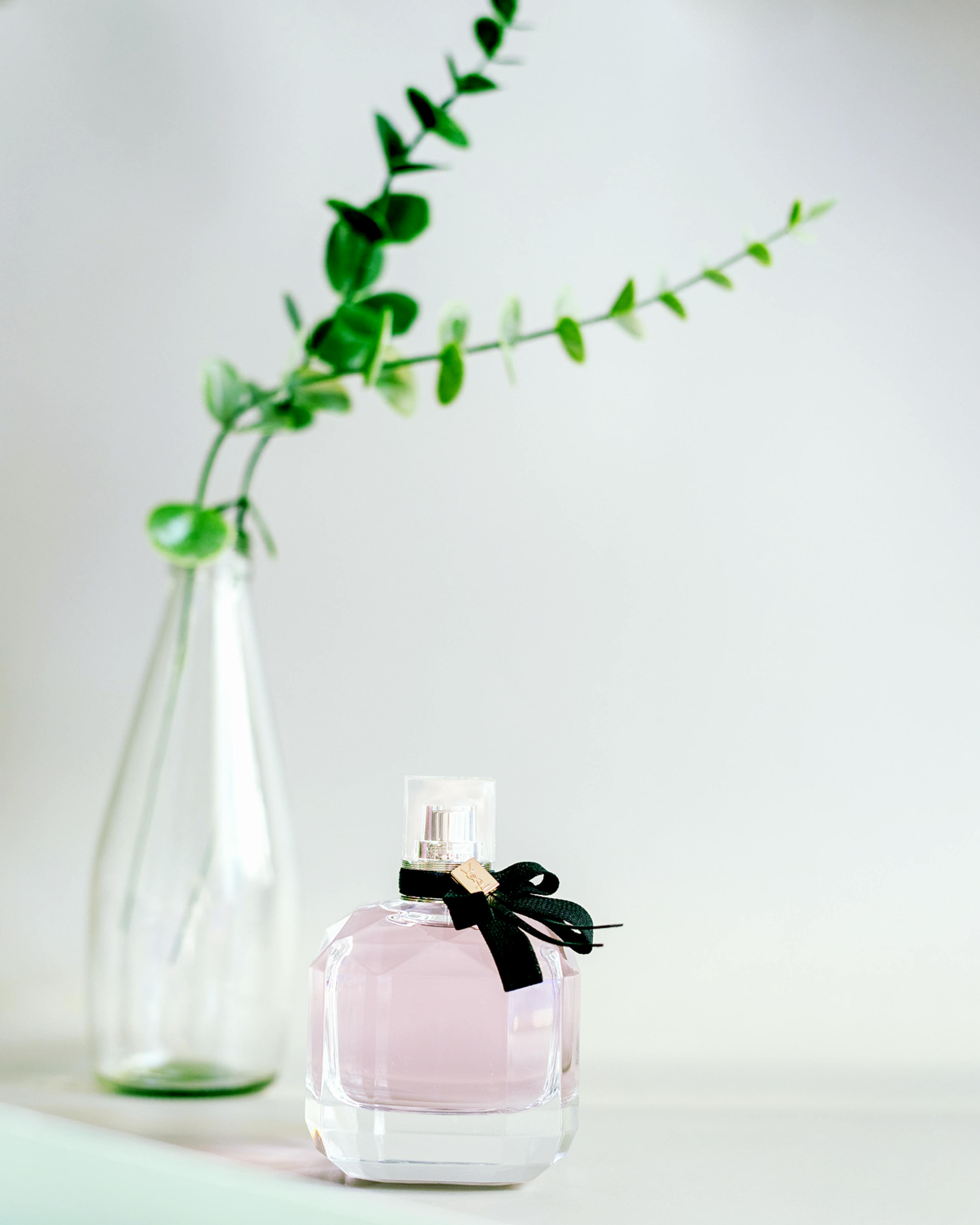 Perfume and Vase with Plant · Free Stock Photo
