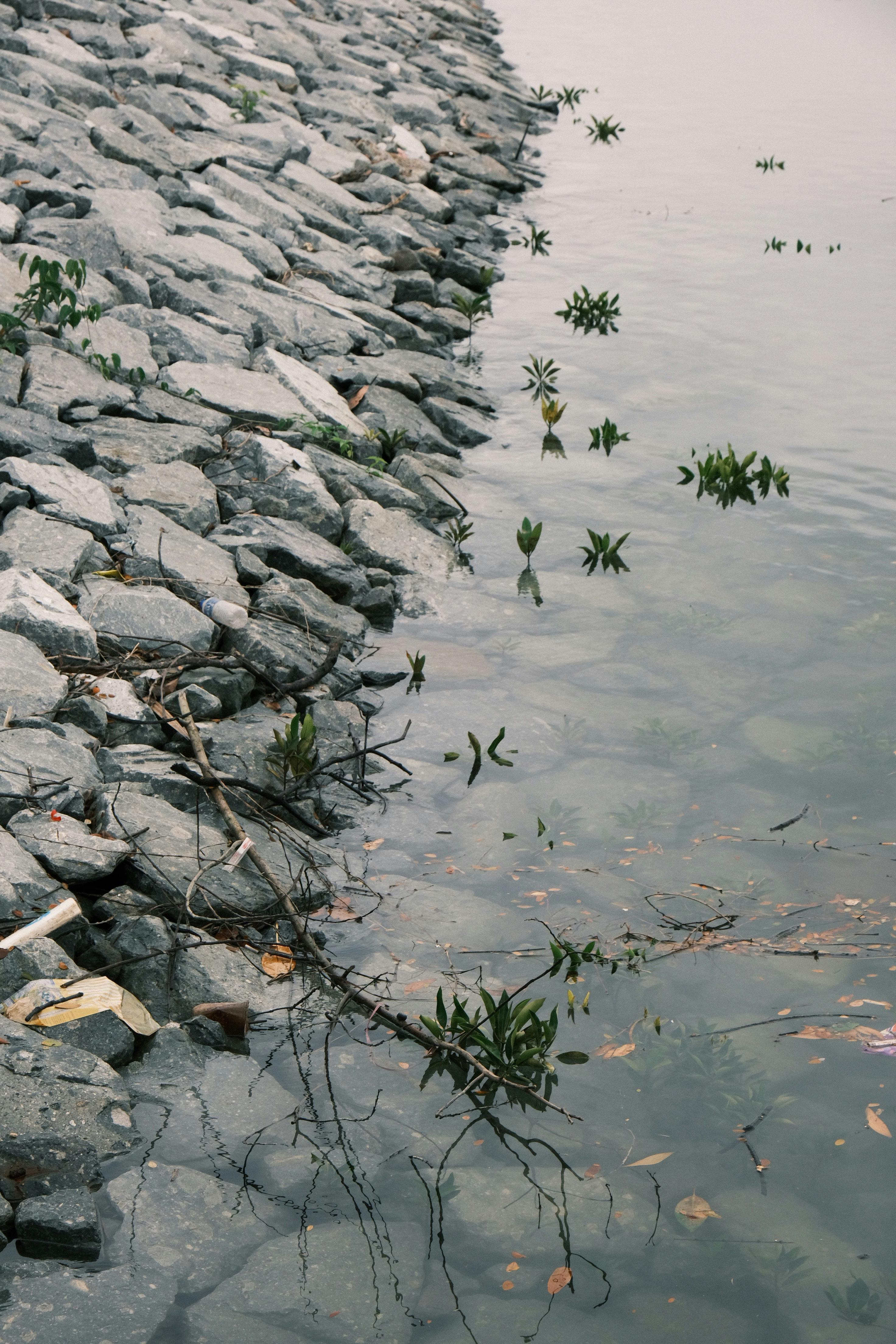 Water Margins Photos, Download The BEST Free Water Margins Stock Photos ...