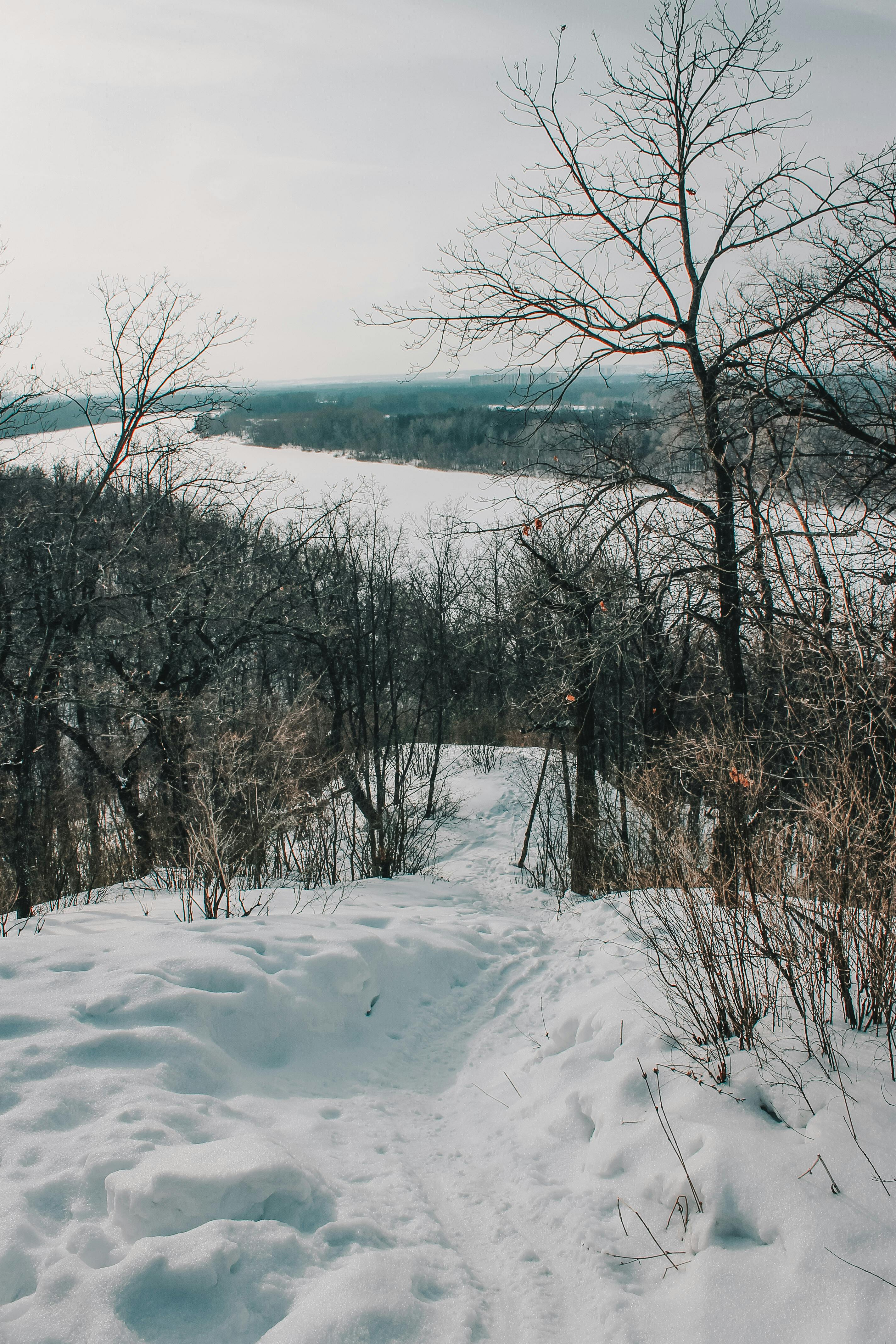 White Snow Photos, Download The BEST Free White Snow Stock Photos & HD ...