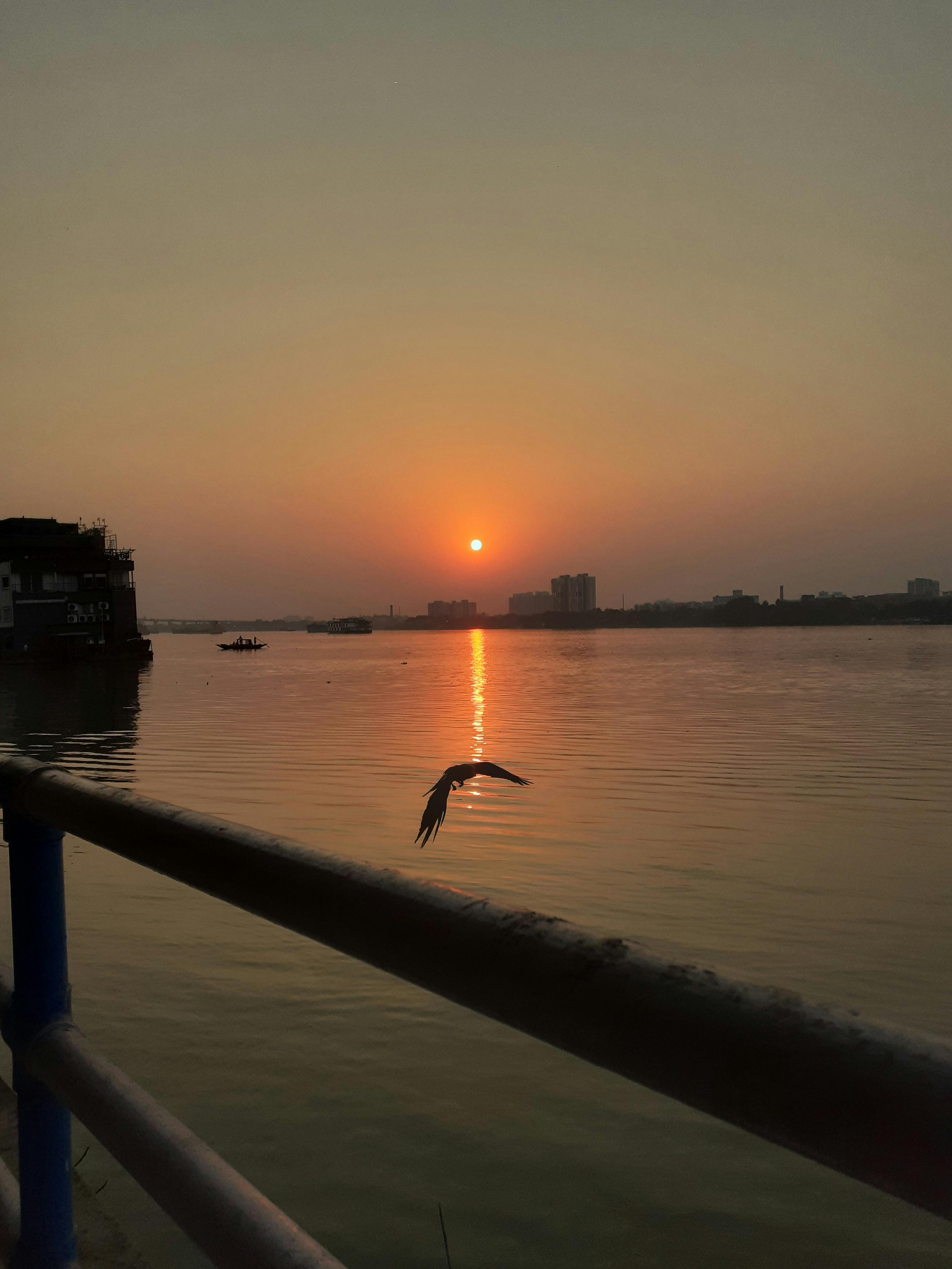 Pallab Chakraborty - Fotografía