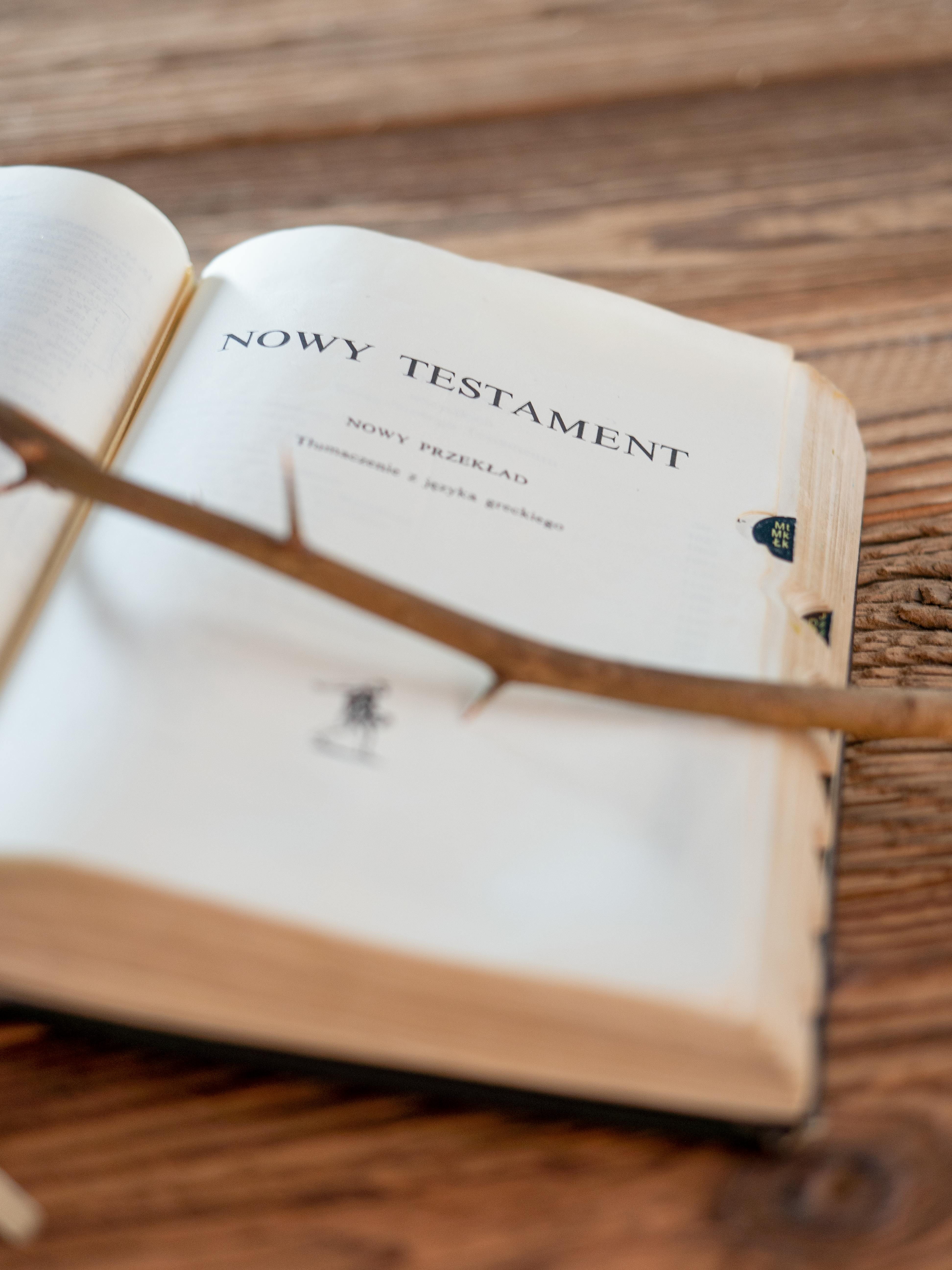 New Testament Photos, Download The BEST Free New Testament Stock Photos ...