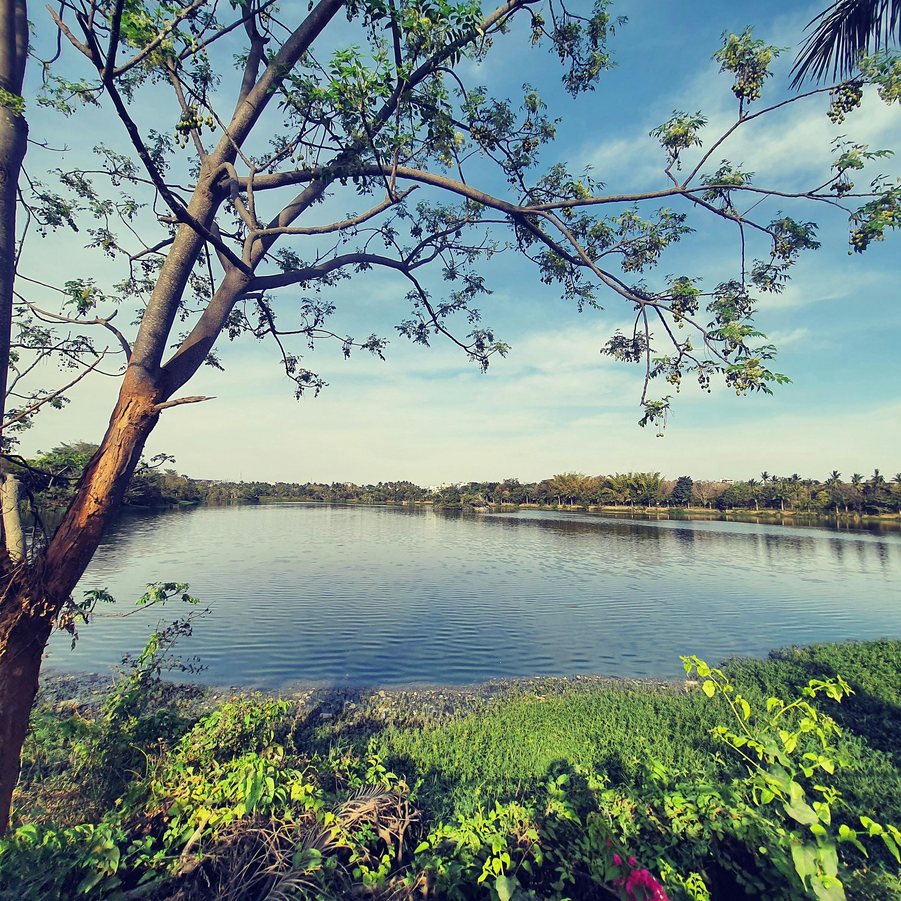 Archana Ramakrishna - 사진