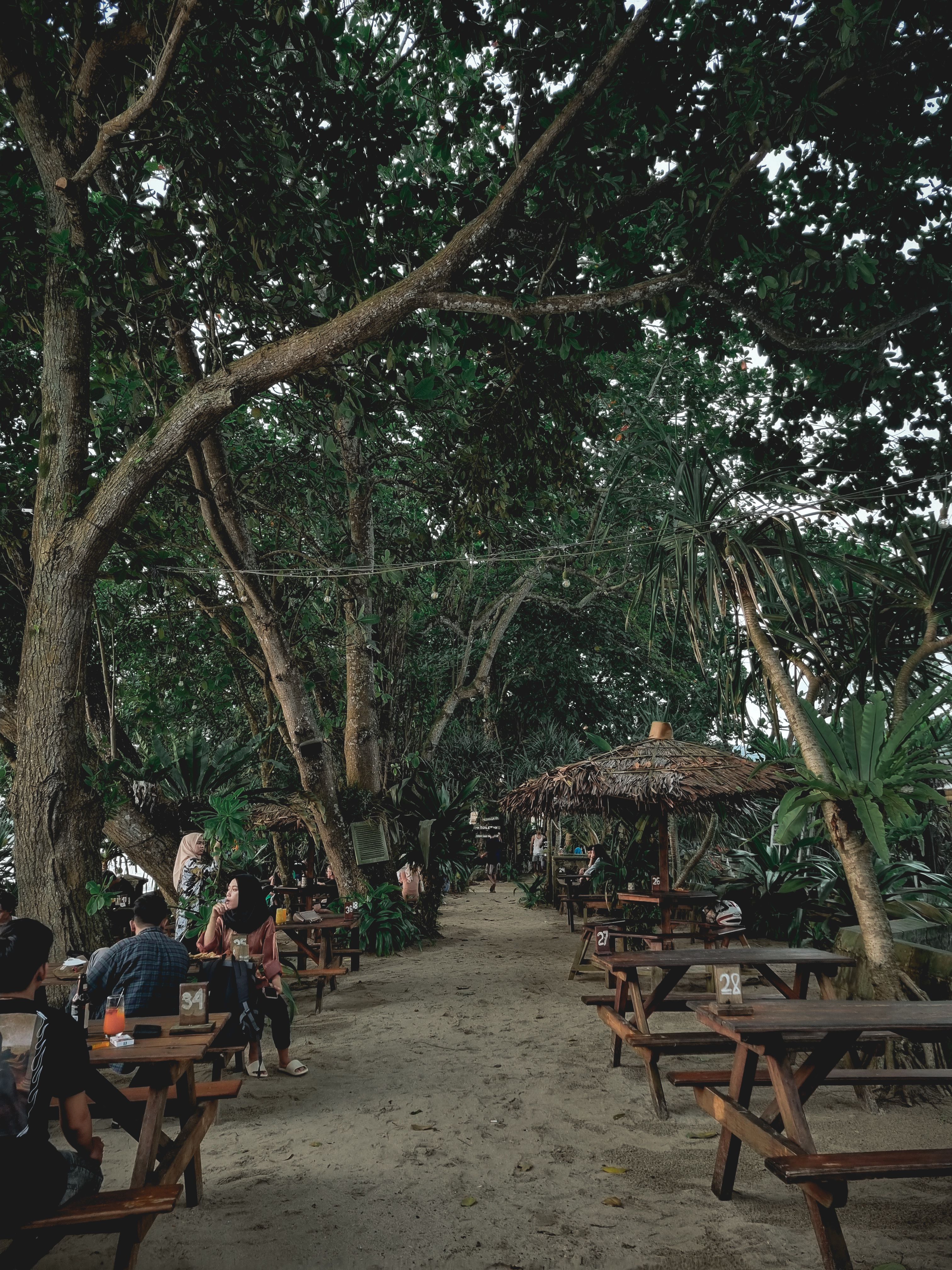 Picnic Tables under Trees · Free Stock Photo