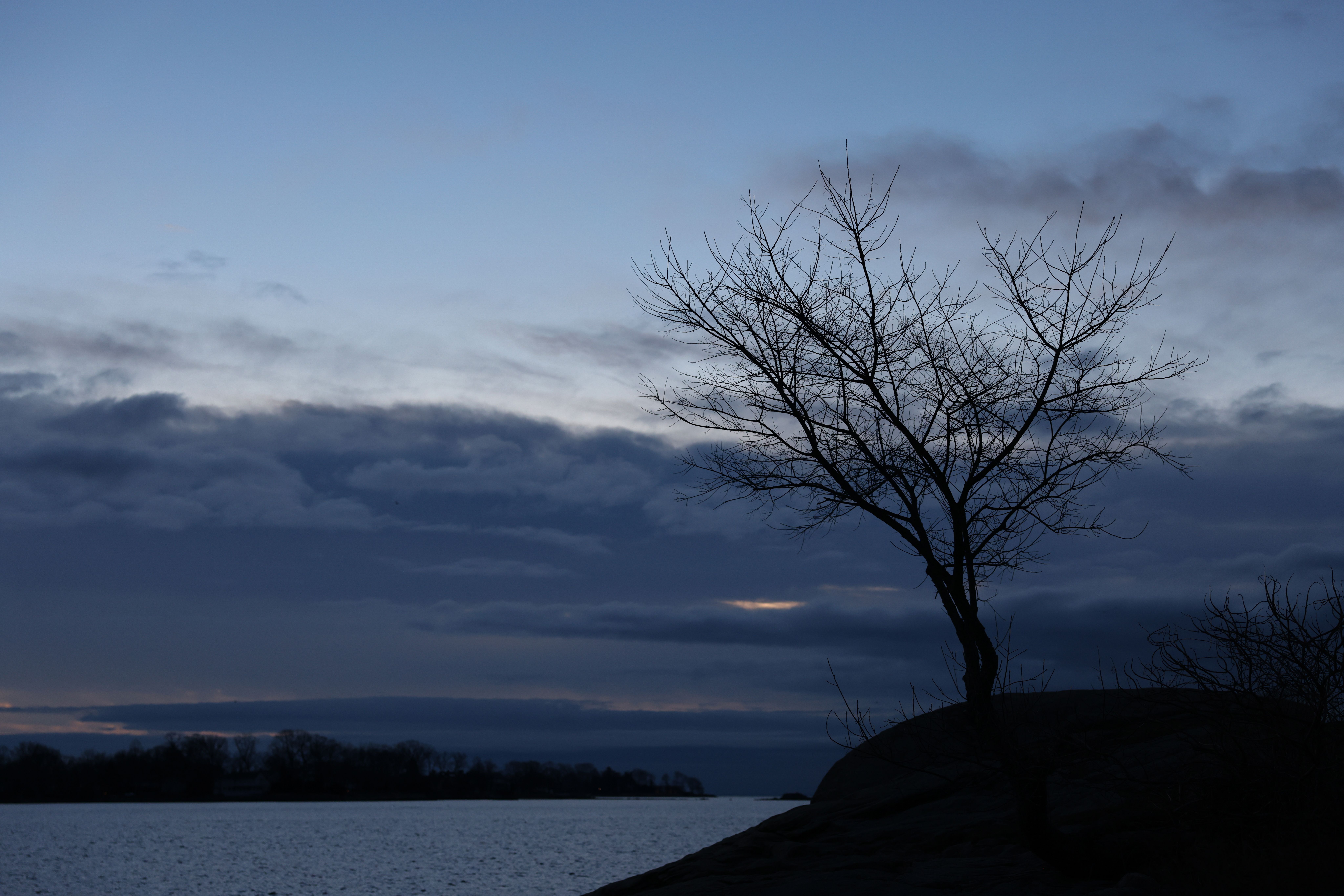 Tree Against Cloudy Sky · Free Stock Photo