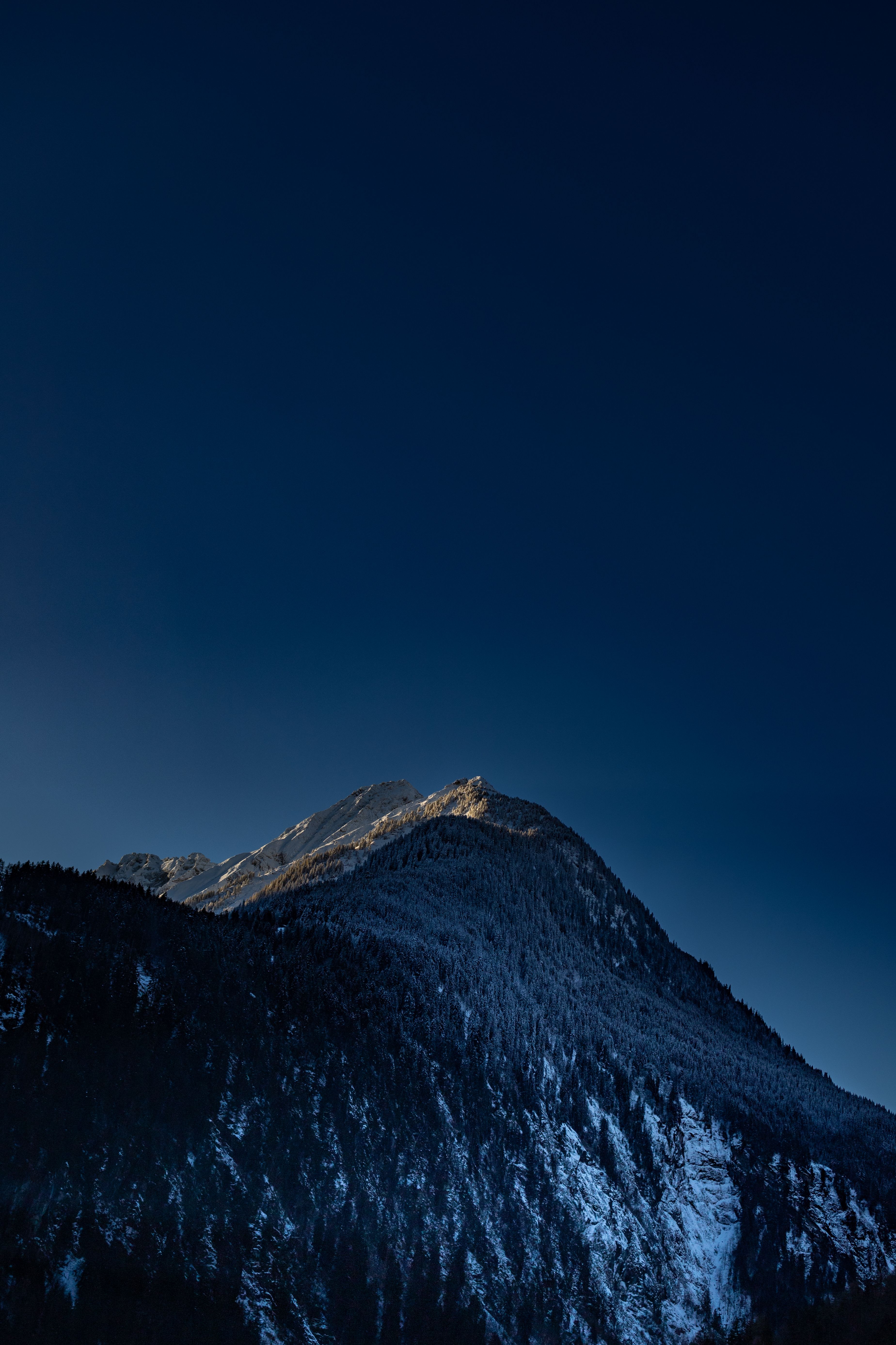 Foto gratuita di alba, albero innevato, alp, alpi, alpi austriache ...