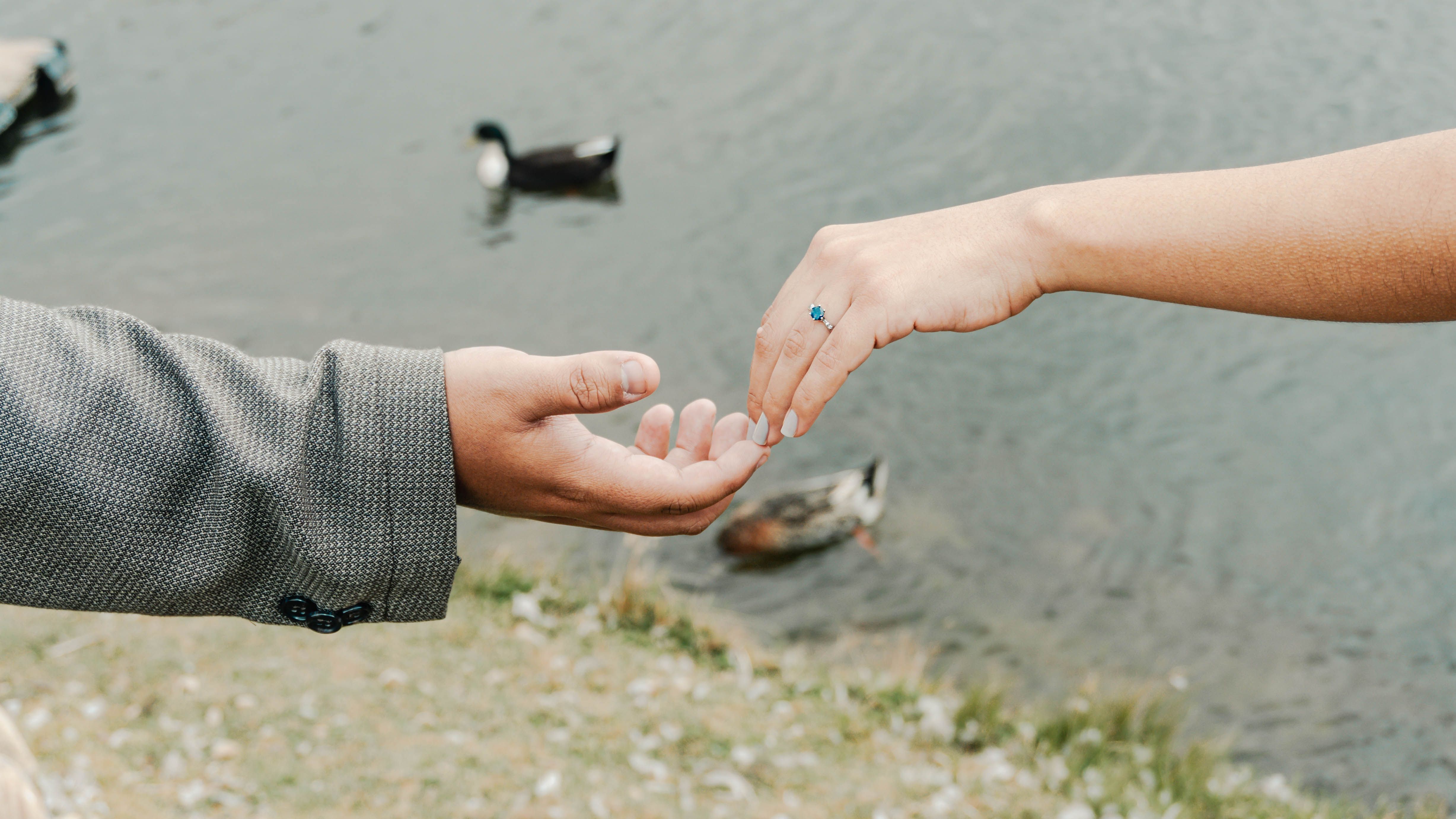 Engaging Photos, Download The BEST Free Engaging Stock Photos & HD Images
