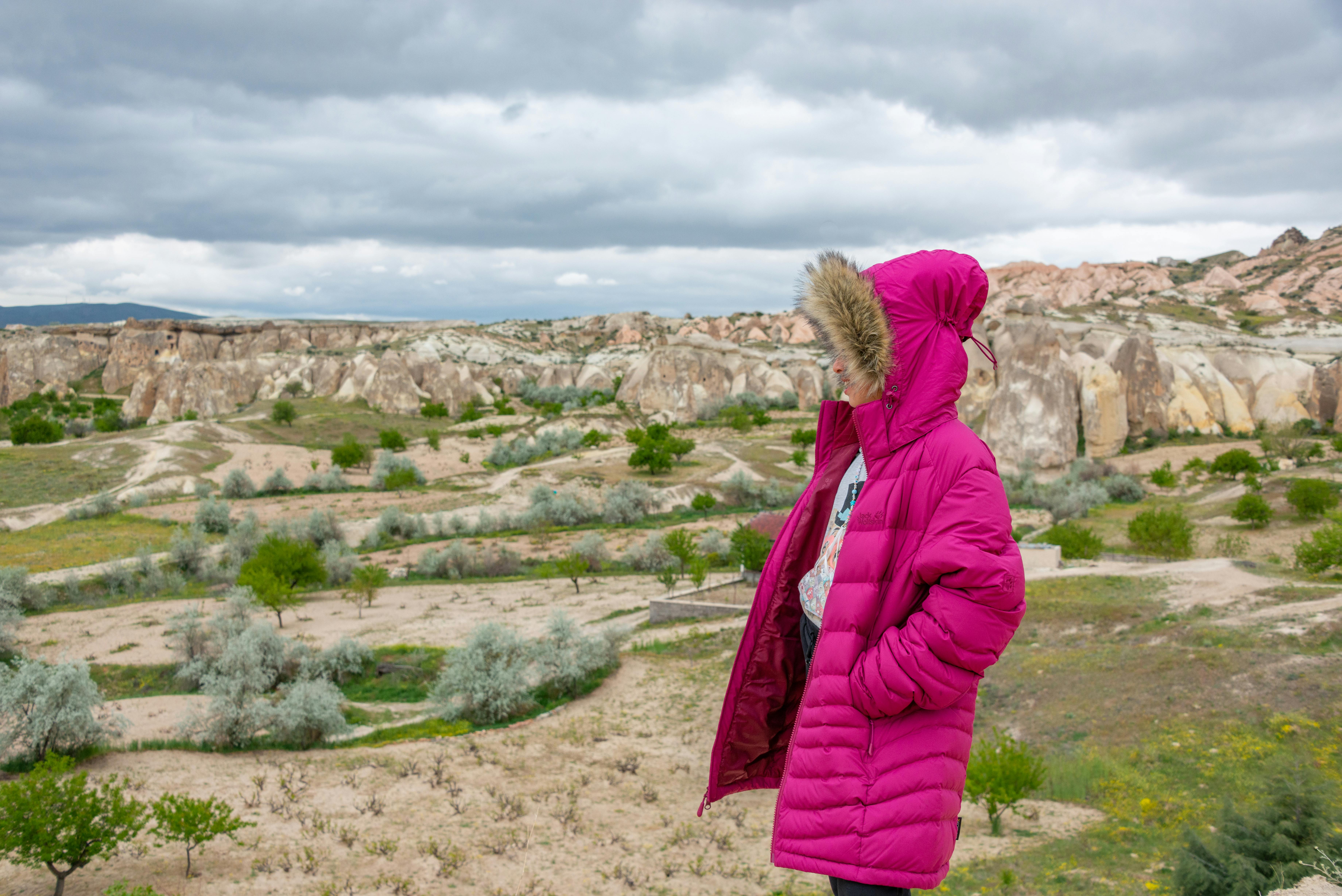 Woman in a Pink Jacket Looking at the Landscape · Free Stock Photo