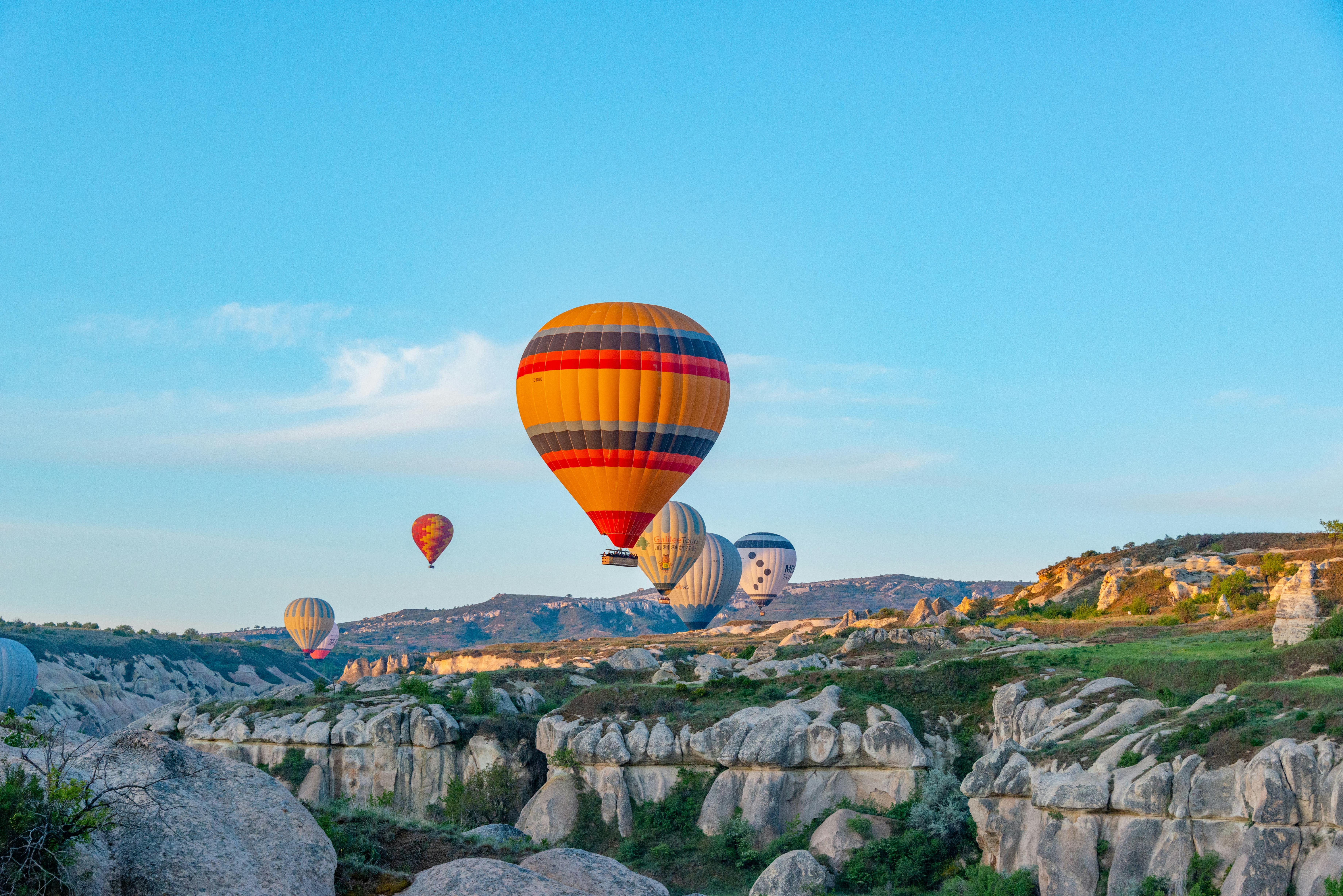 Scenic Landscape with Hot Air Balloons · Free Stock Photo