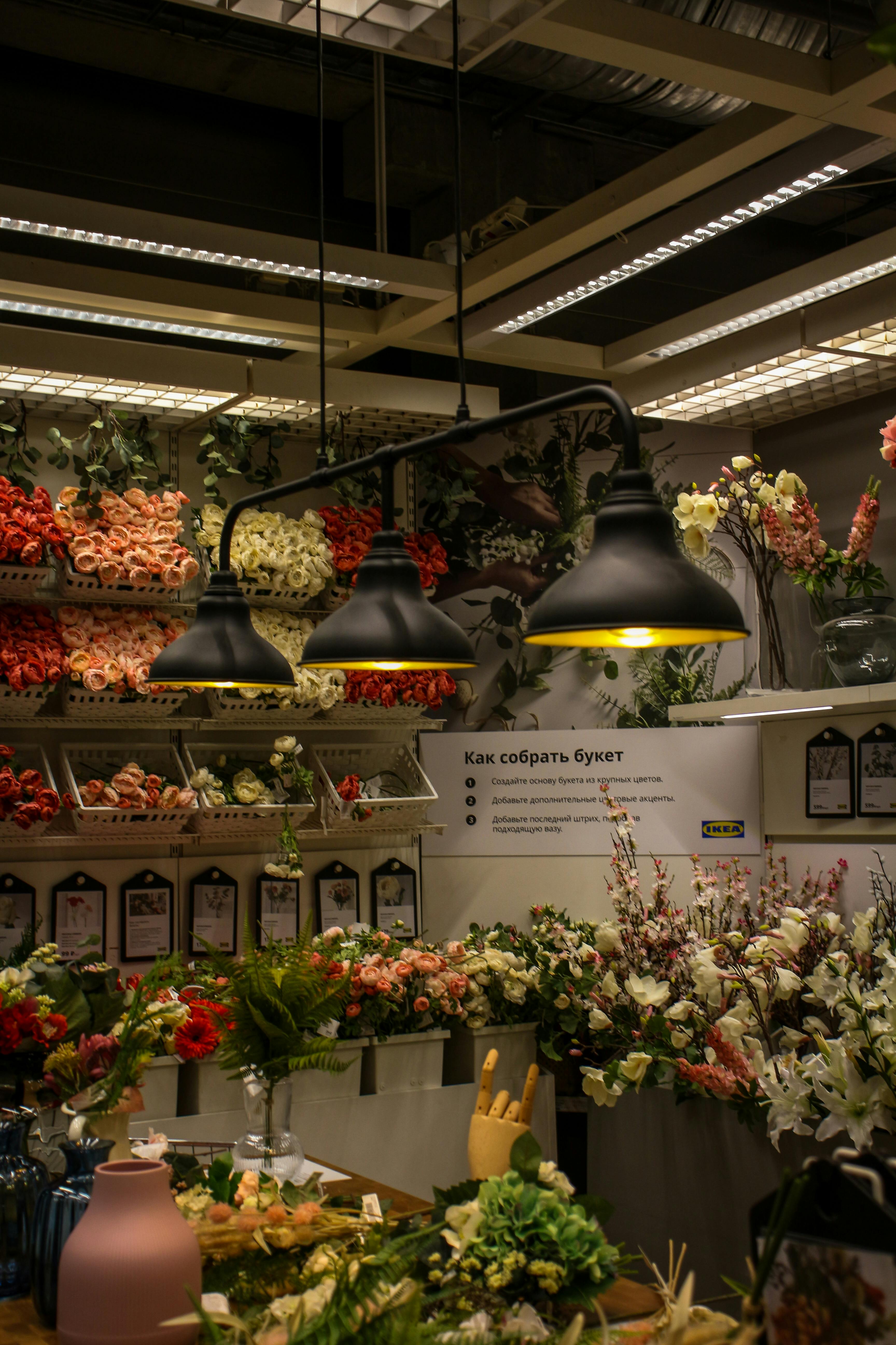 Assorted Flower Arrangements · Free Stock Photo