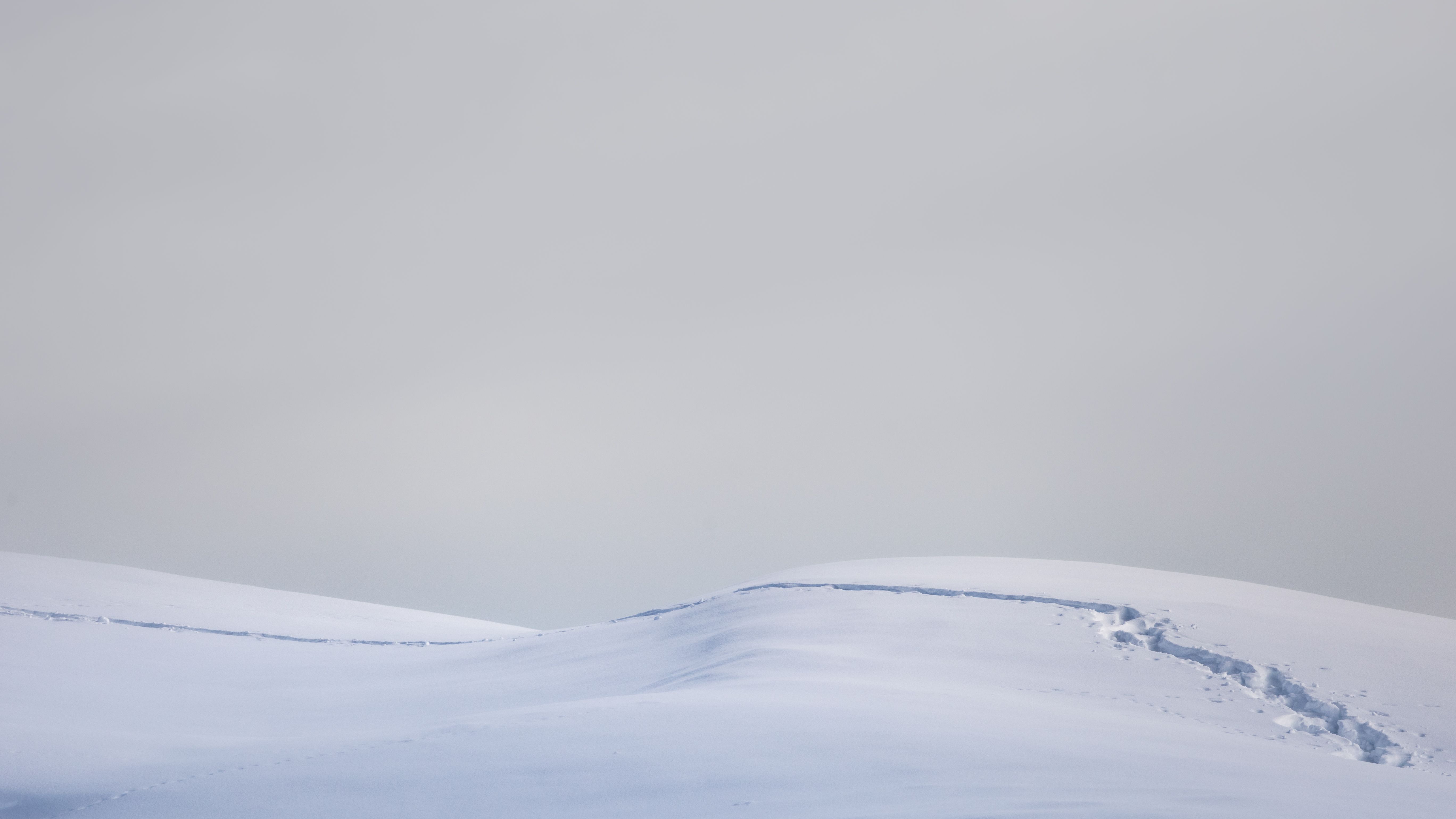 Gray path. · Free Stock Photo