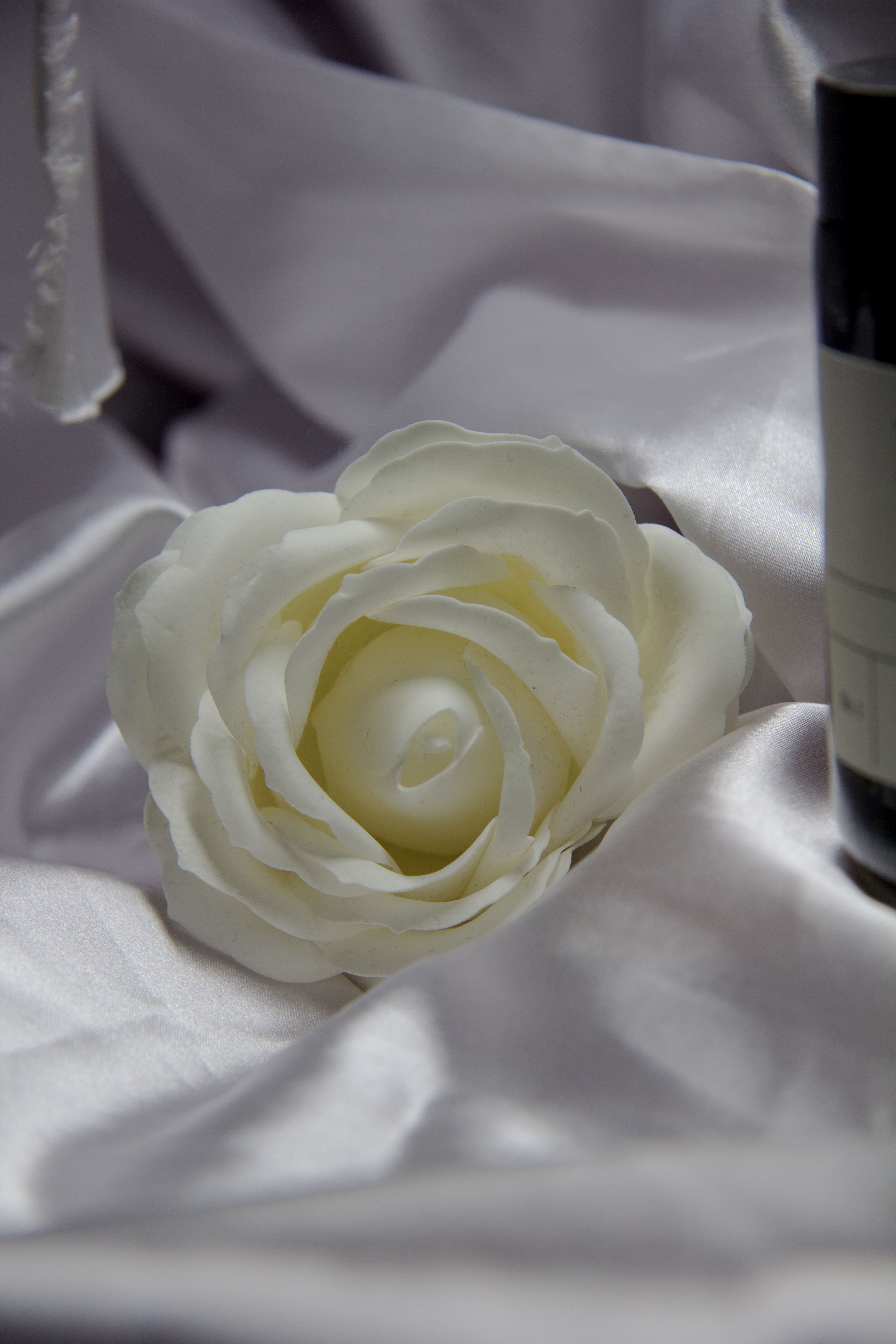 Rad Rose Photos, Download The BEST Free Rad Rose Stock Photos & HD Images