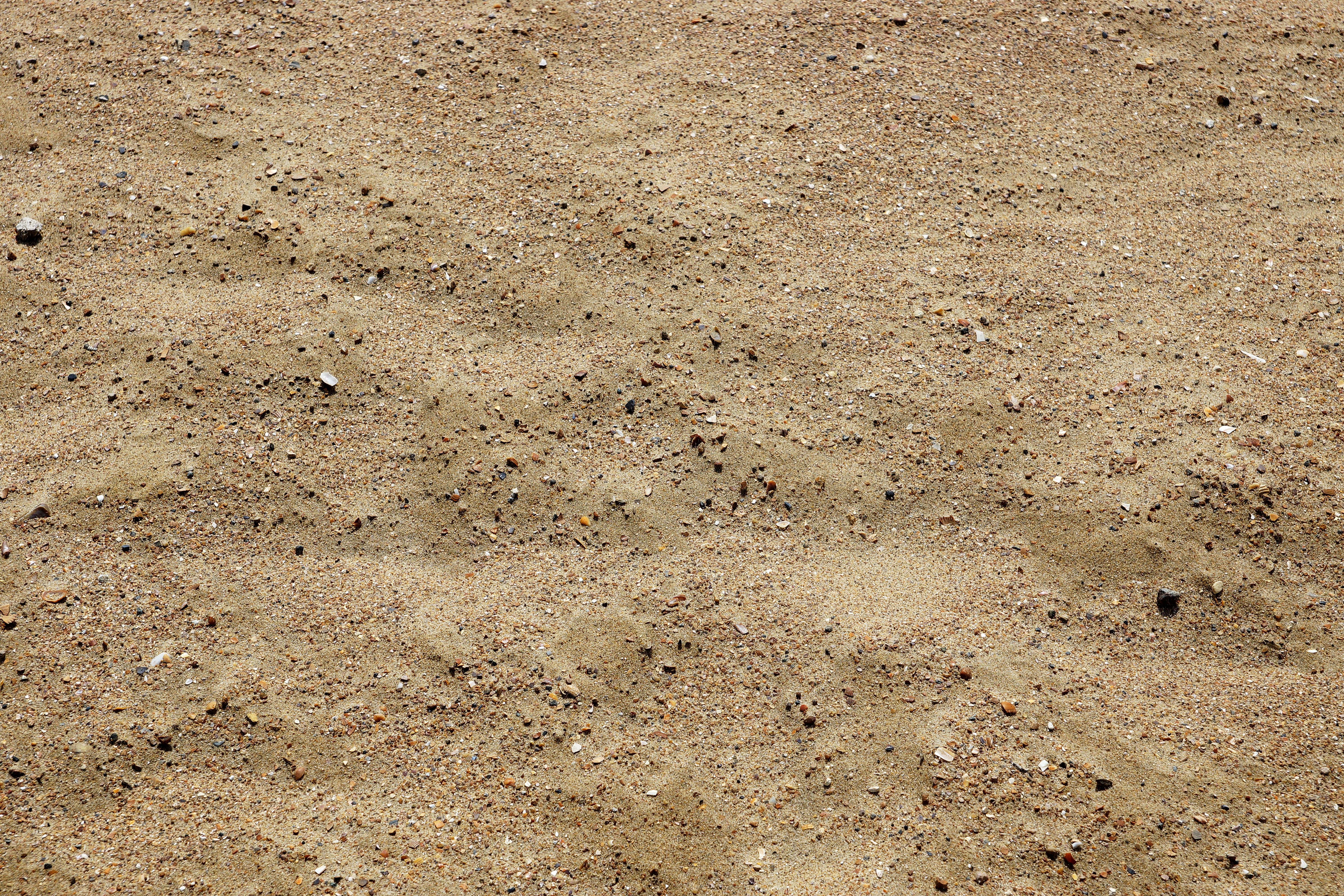 A Solid Sand Surface · Free Stock Photo
