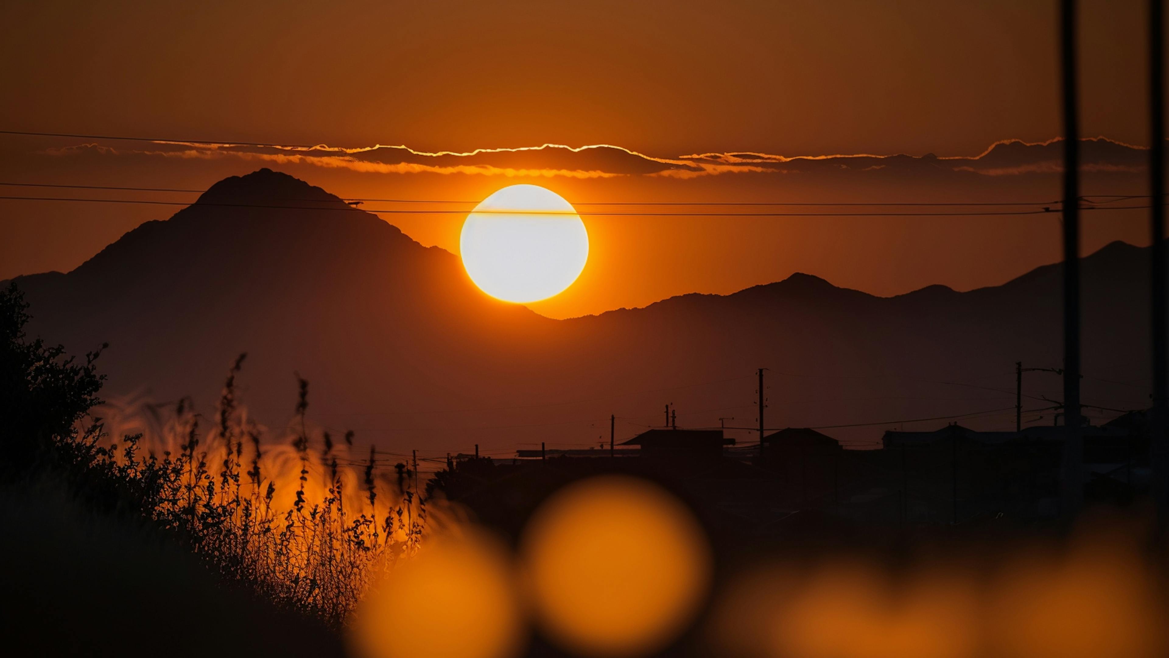 Groot Gras Photos, Download The BEST Free Groot Gras Stock Photos & HD ...