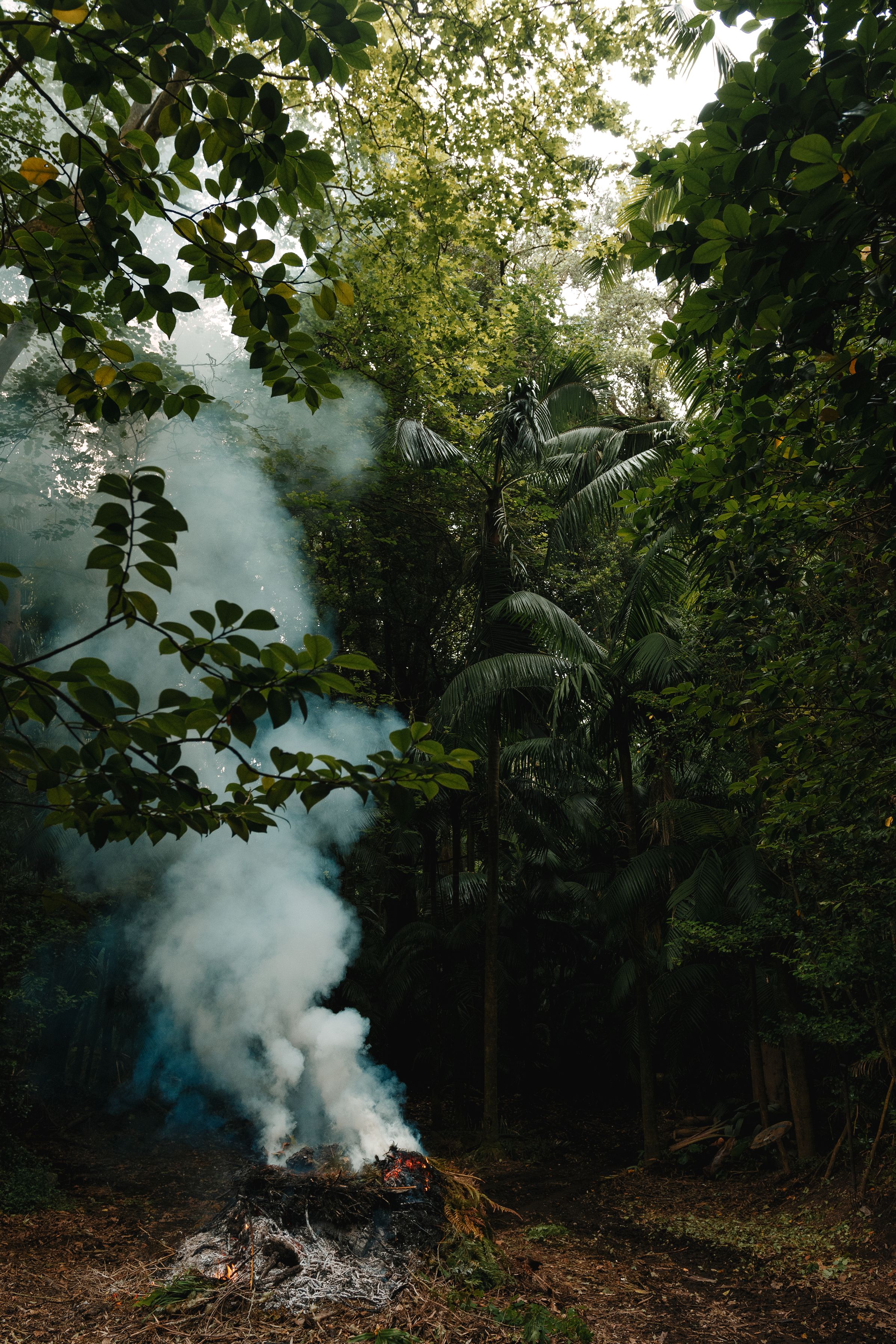 Fire Fakir Photos, Download The BEST Free Fire Fakir Stock Photos & HD ...