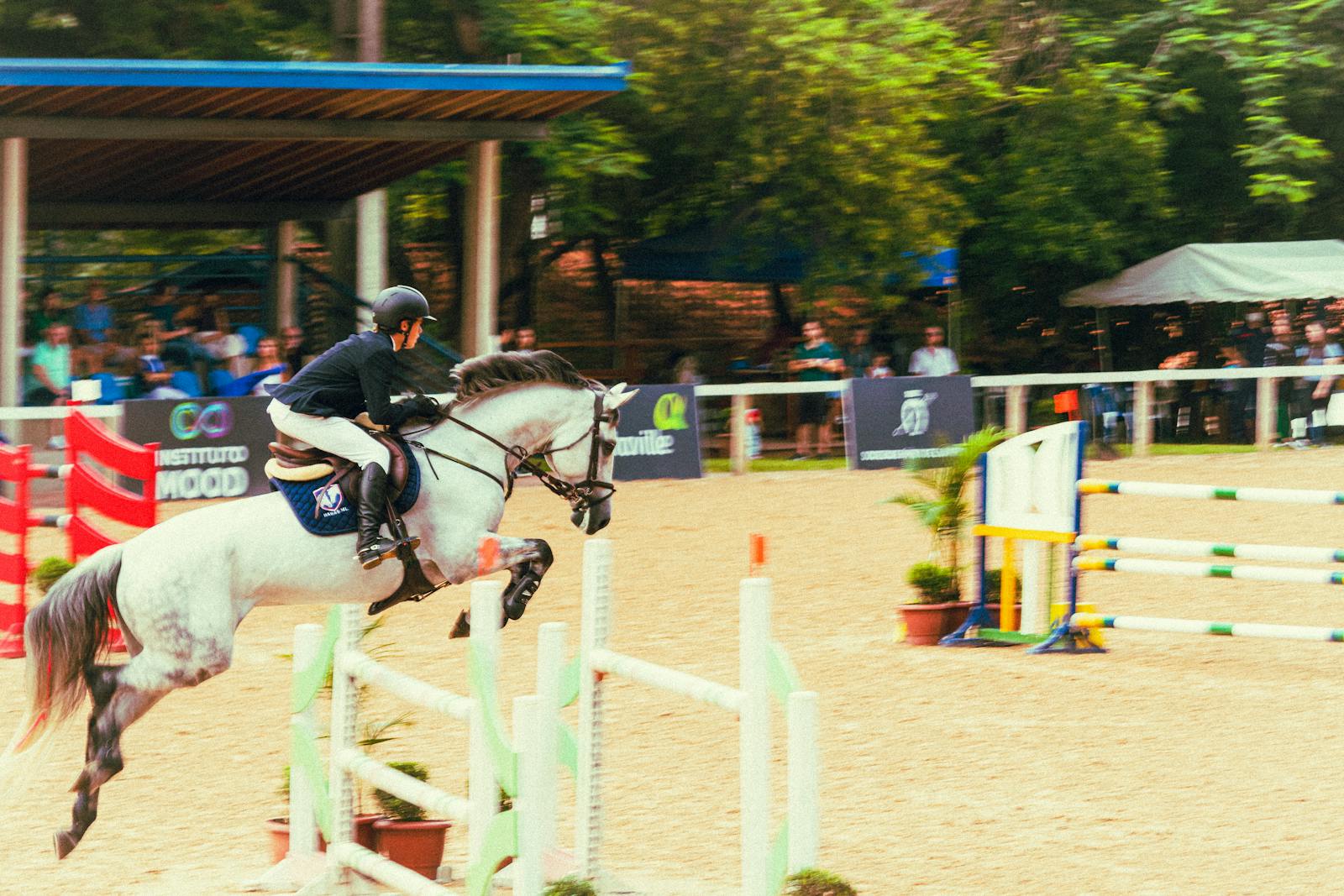Horse Jumping Photos, Download The BEST Free Horse Jumping Stock Photos ...
