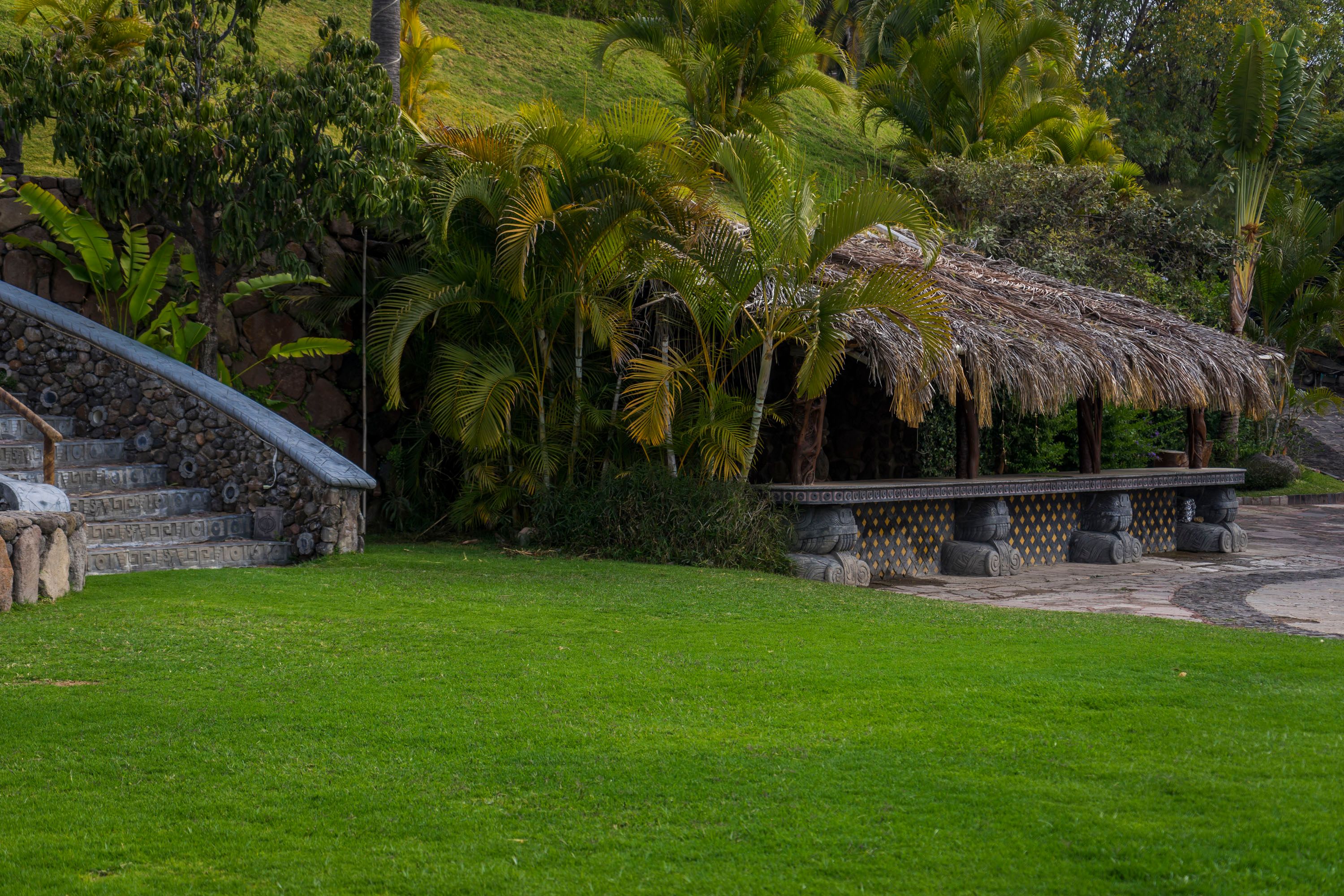 Lawn and Palm Trees near Stairs · Free Stock Photo