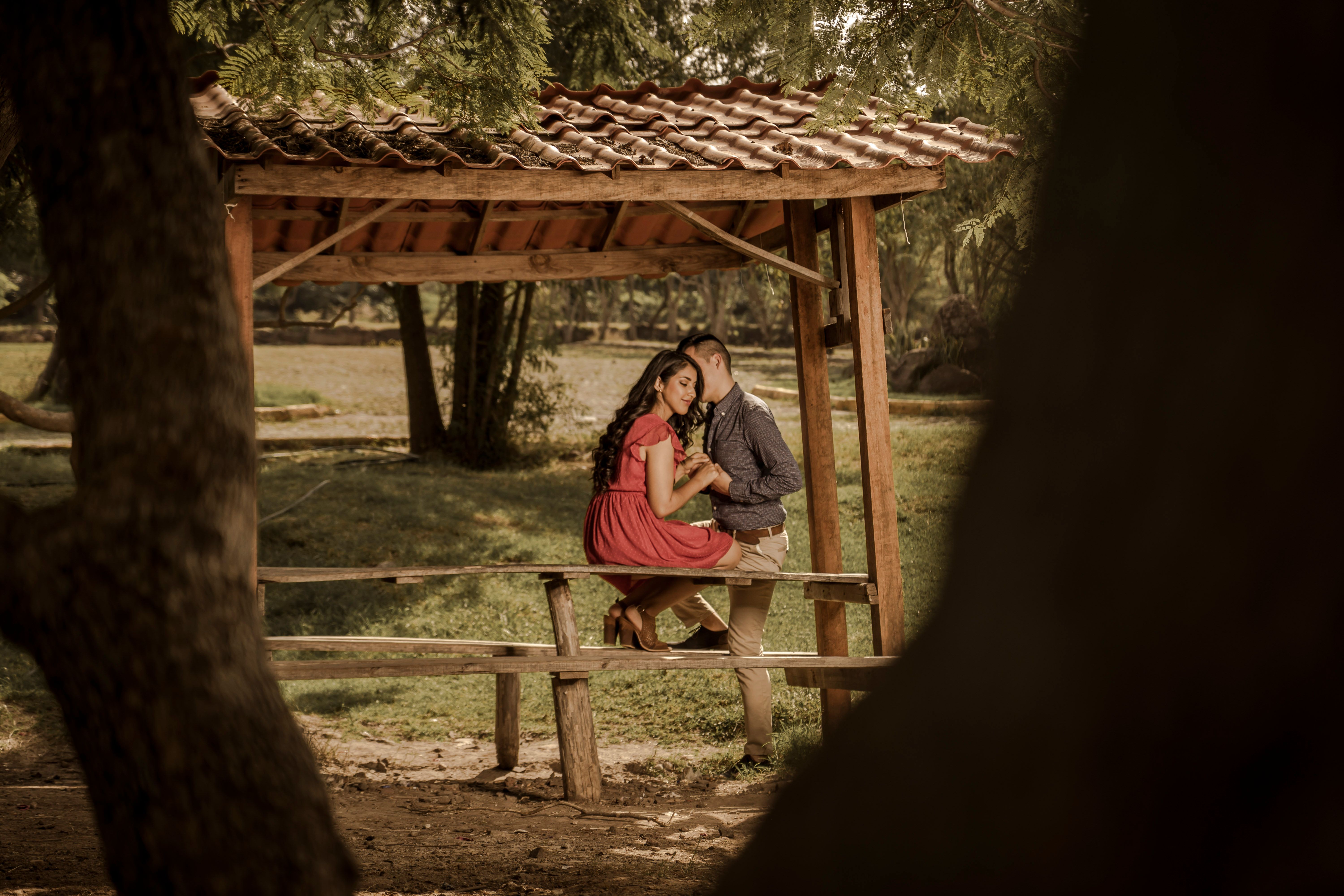 Formal Picnic Photos, Download The BEST Free Formal Picnic Stock Photos ...