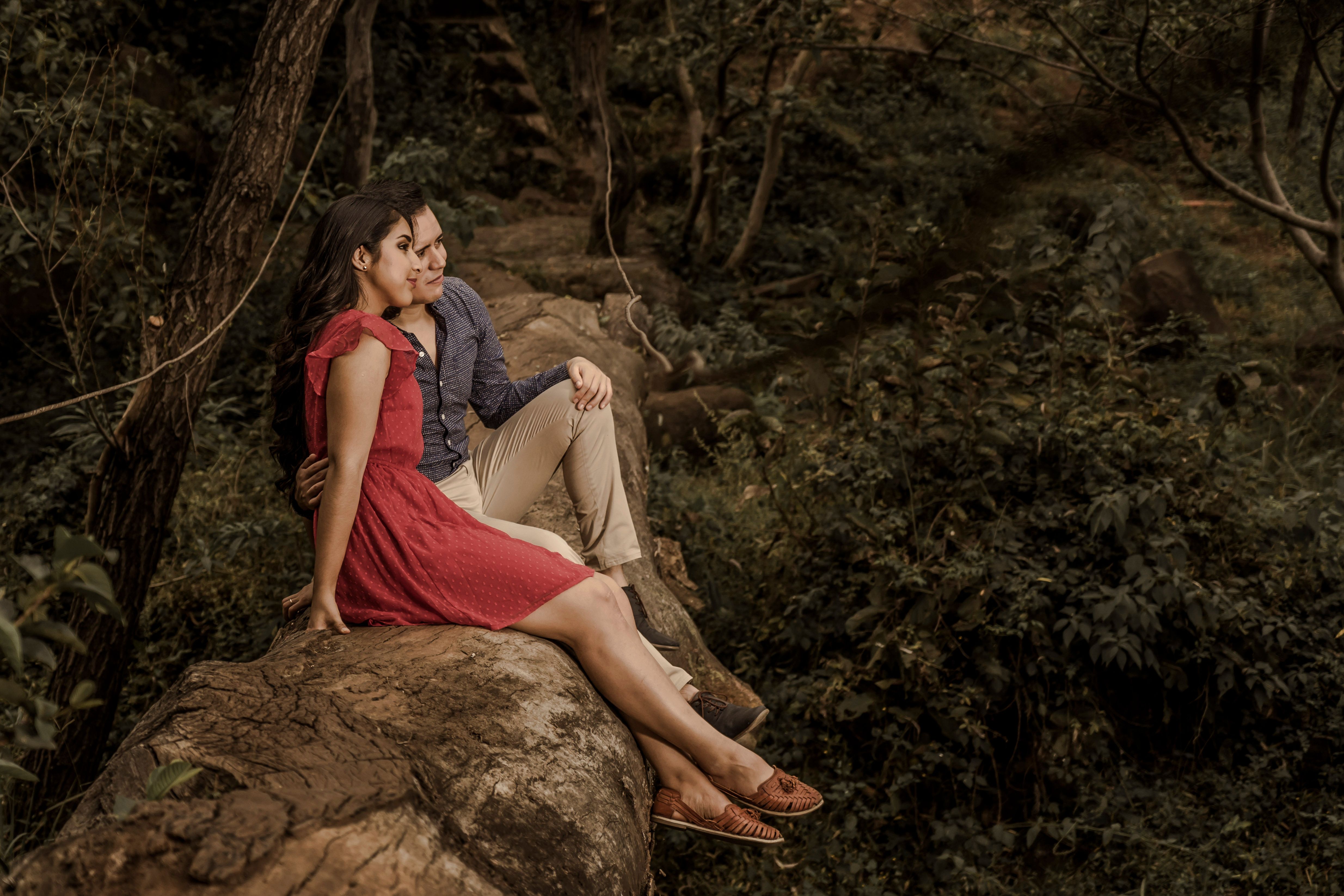 Embracing Couple Sitting on Fallen Tree Trunk · Free Stock Photo