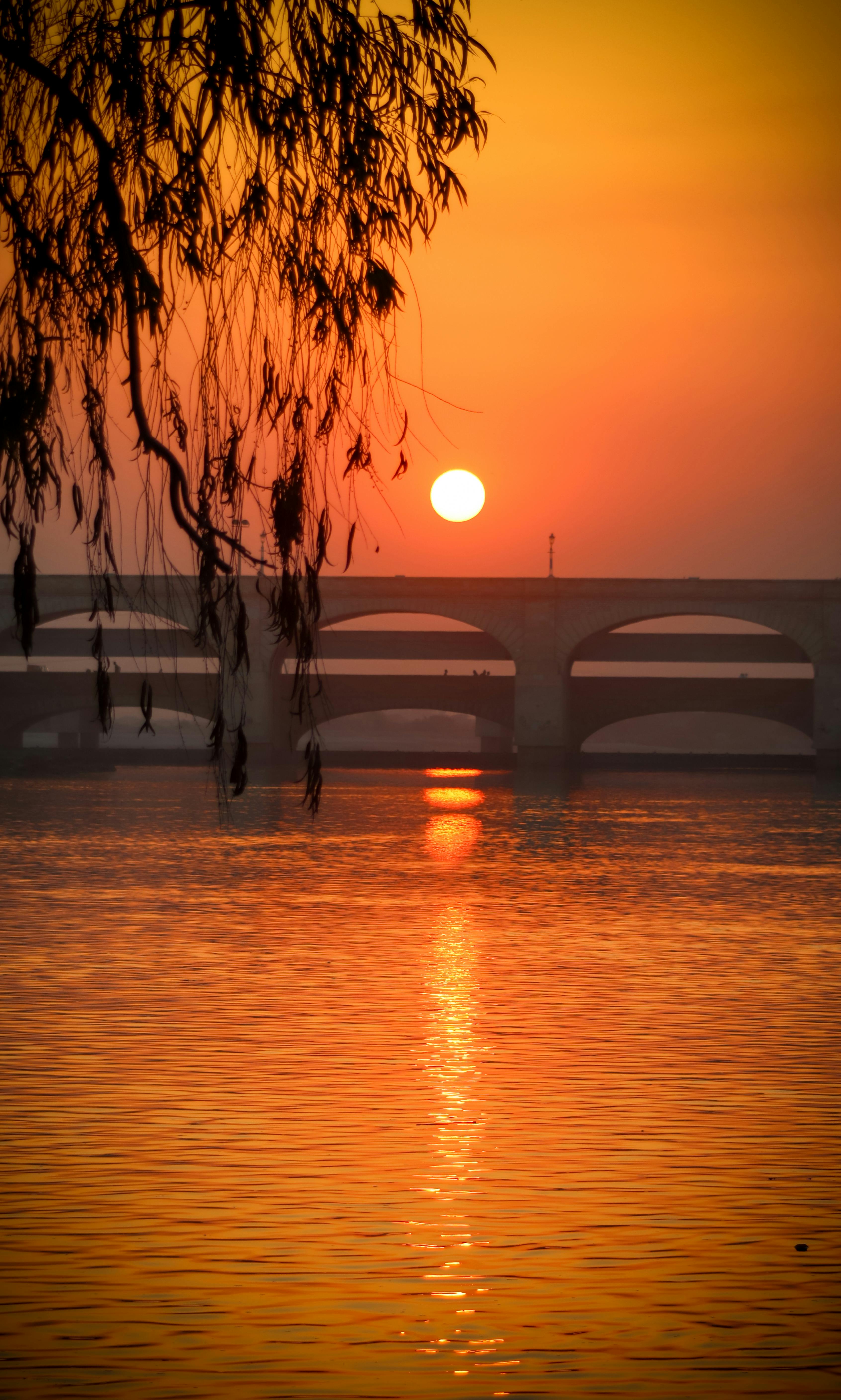 Sunset over Bridge · Free Stock Photo