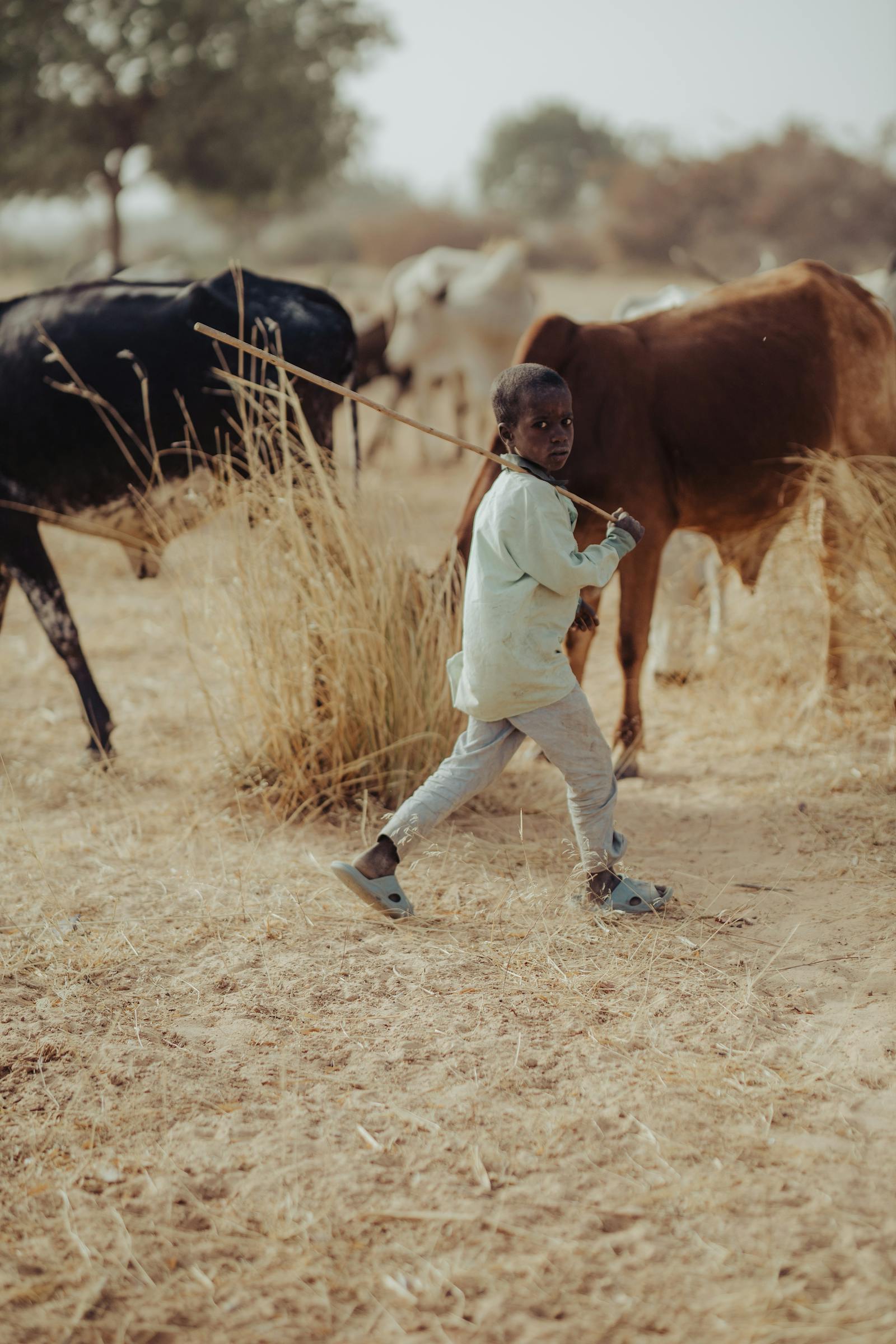 Boy Land Photos, Download The BEST Free Boy Land Stock Photos & HD Images