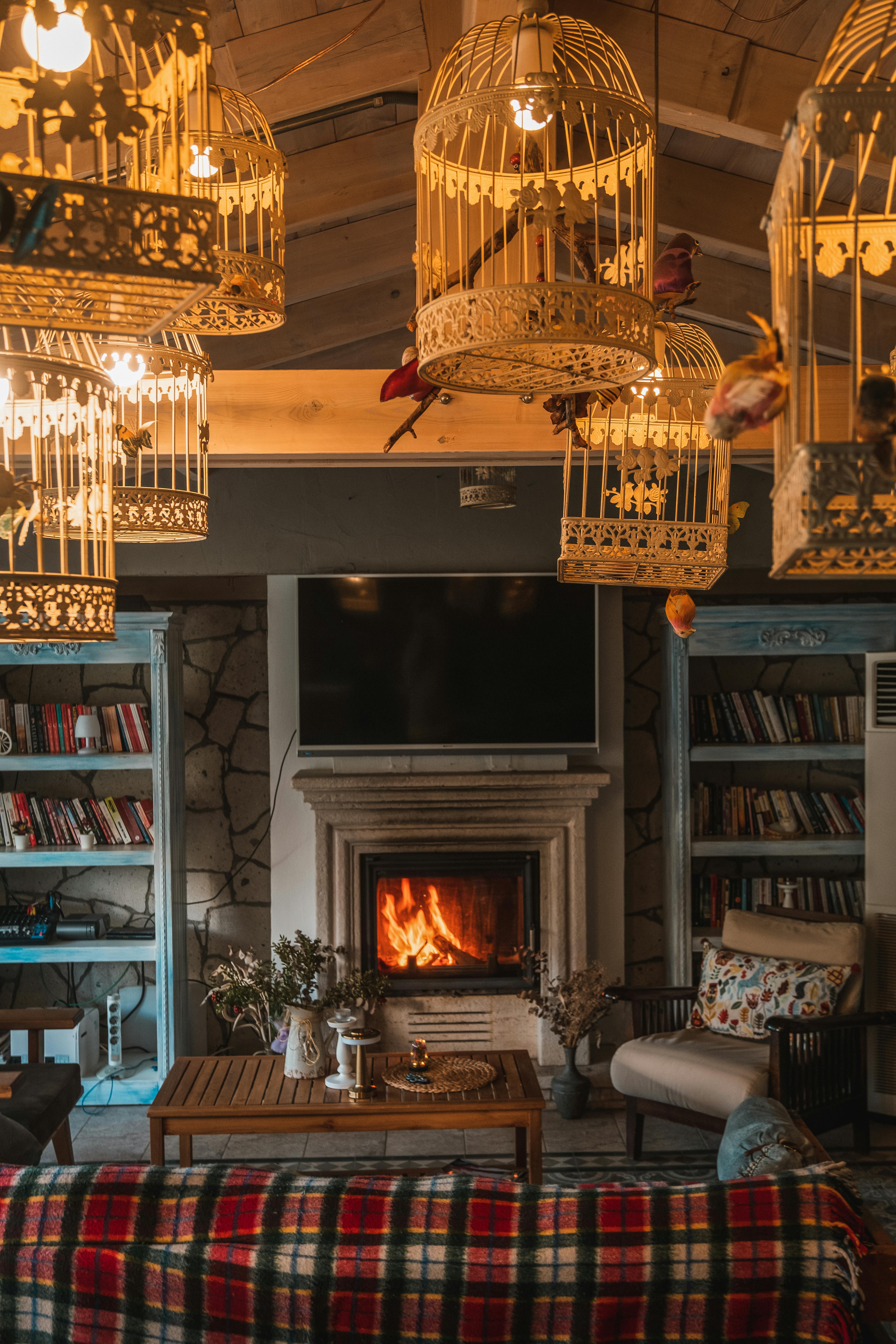 Decorative Cages Photos, Download The BEST Free Decorative Cages Stock ...