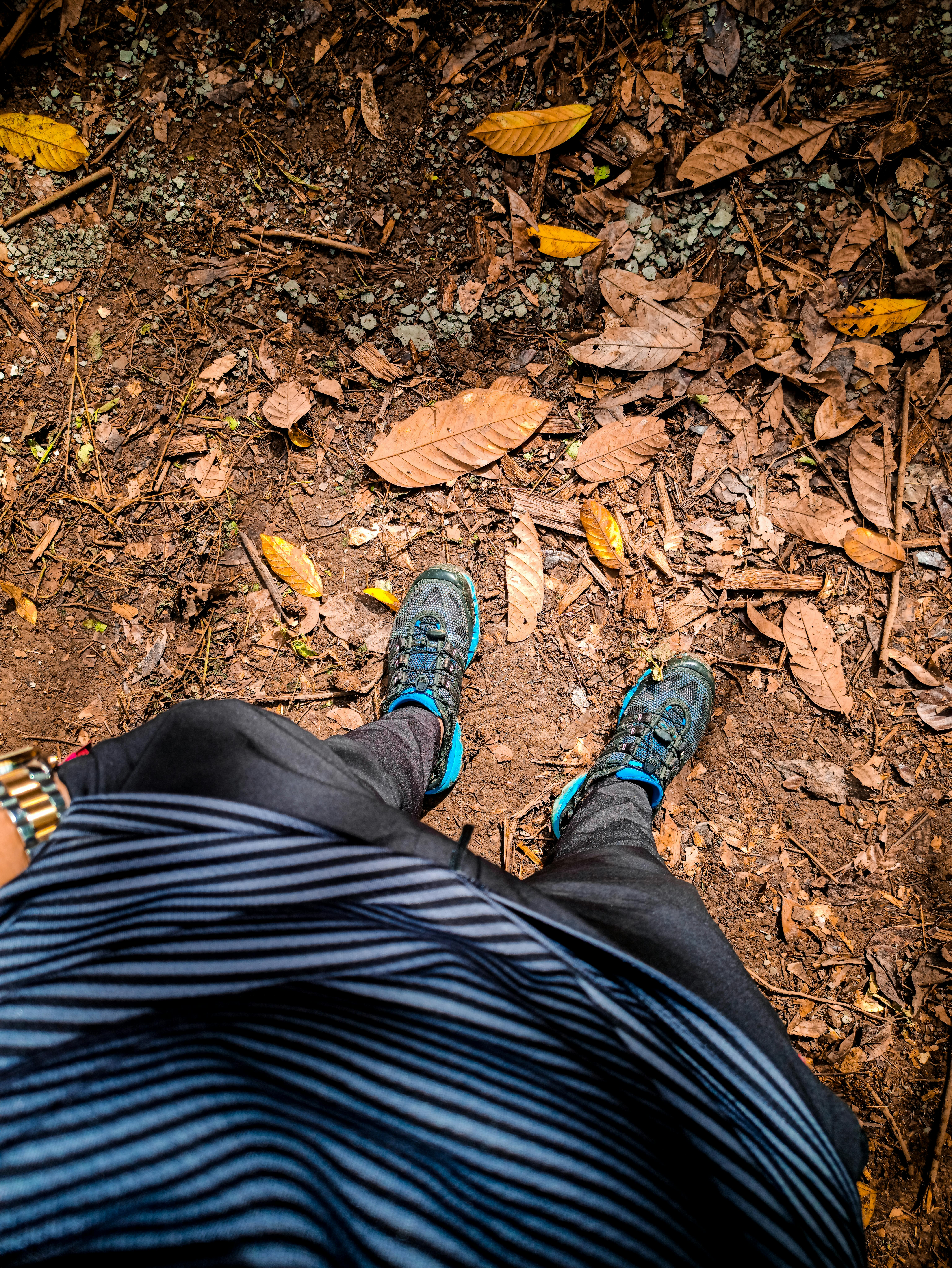 Man Standing on Ground with Autumn Leaves · Free Stock Photo